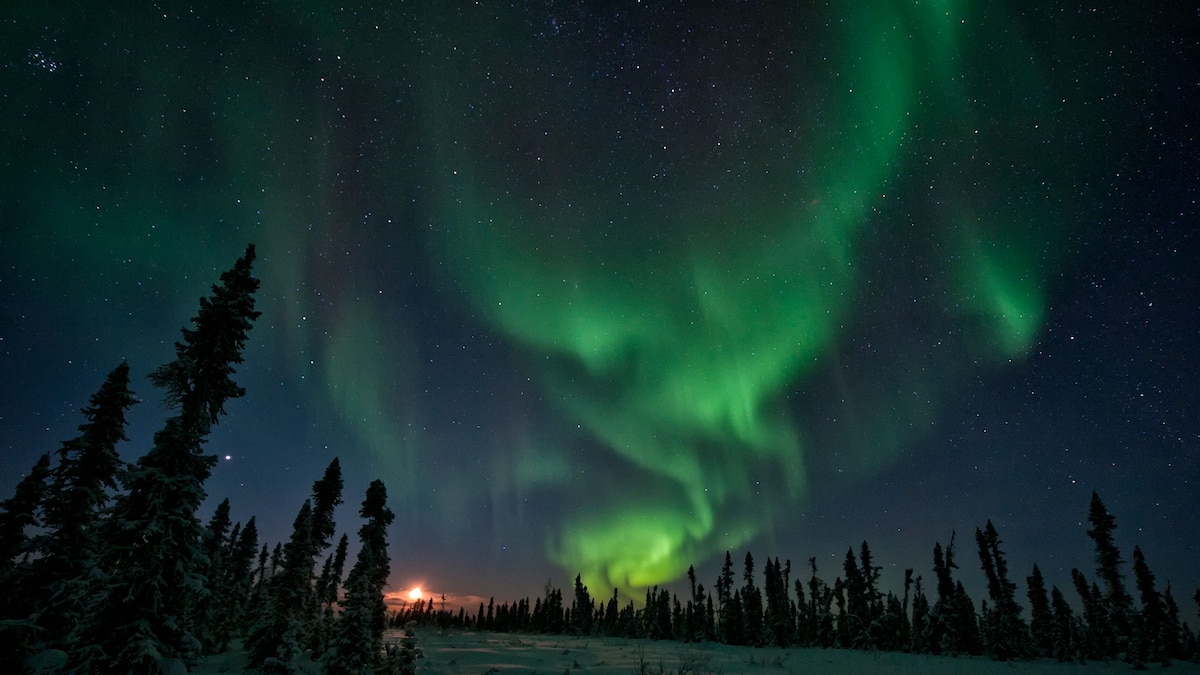 Earth's Poles Will Eventually Flip, So What Then? | National Geographic