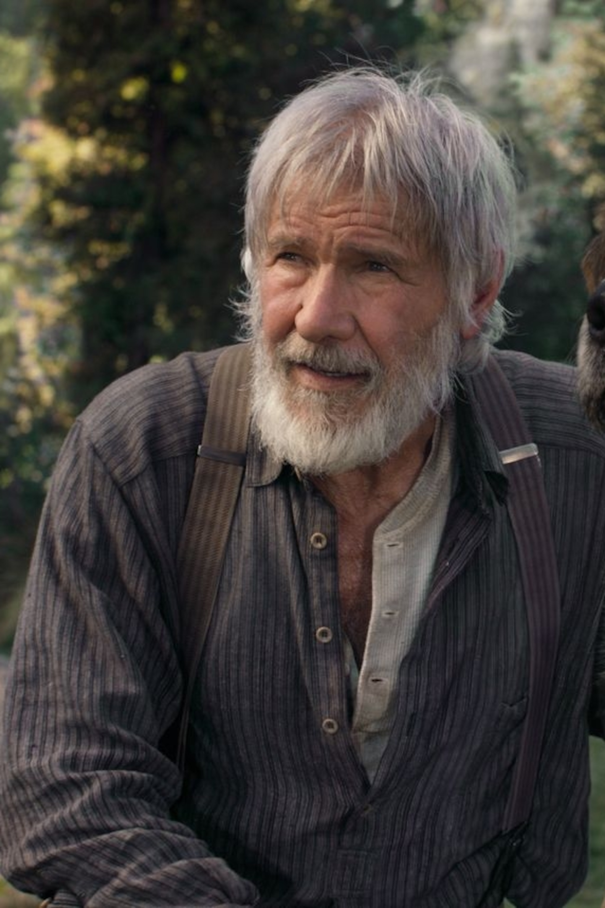 John Thornton Call Of The Wild Drawing