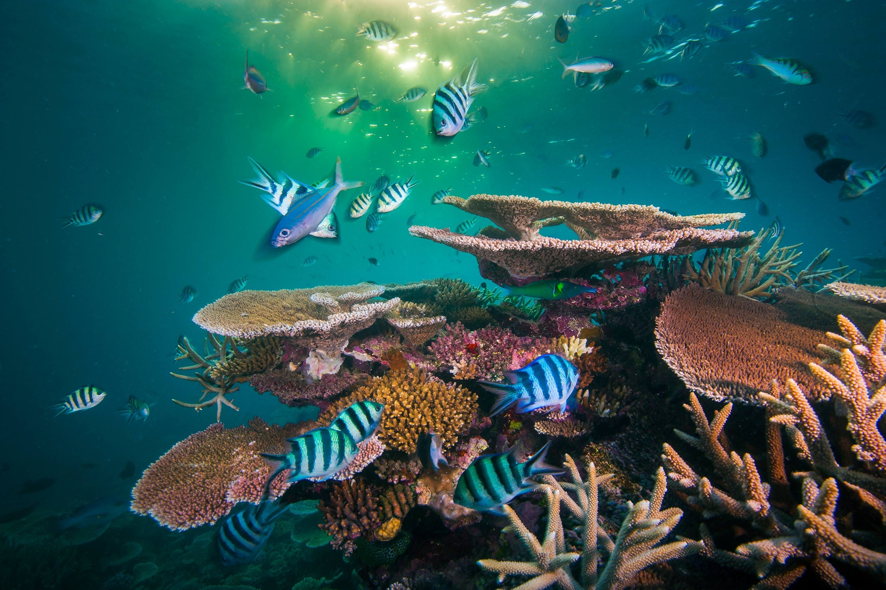 Climate change is reshaping the world’s oceans and ice, IPCC says