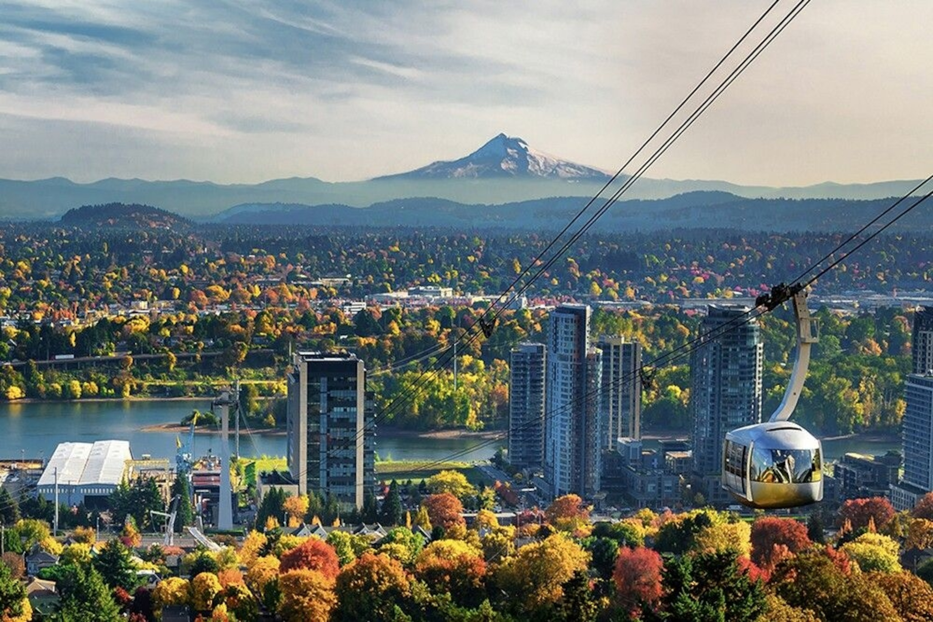 How Portland is becoming an urban hotspot for winemaking