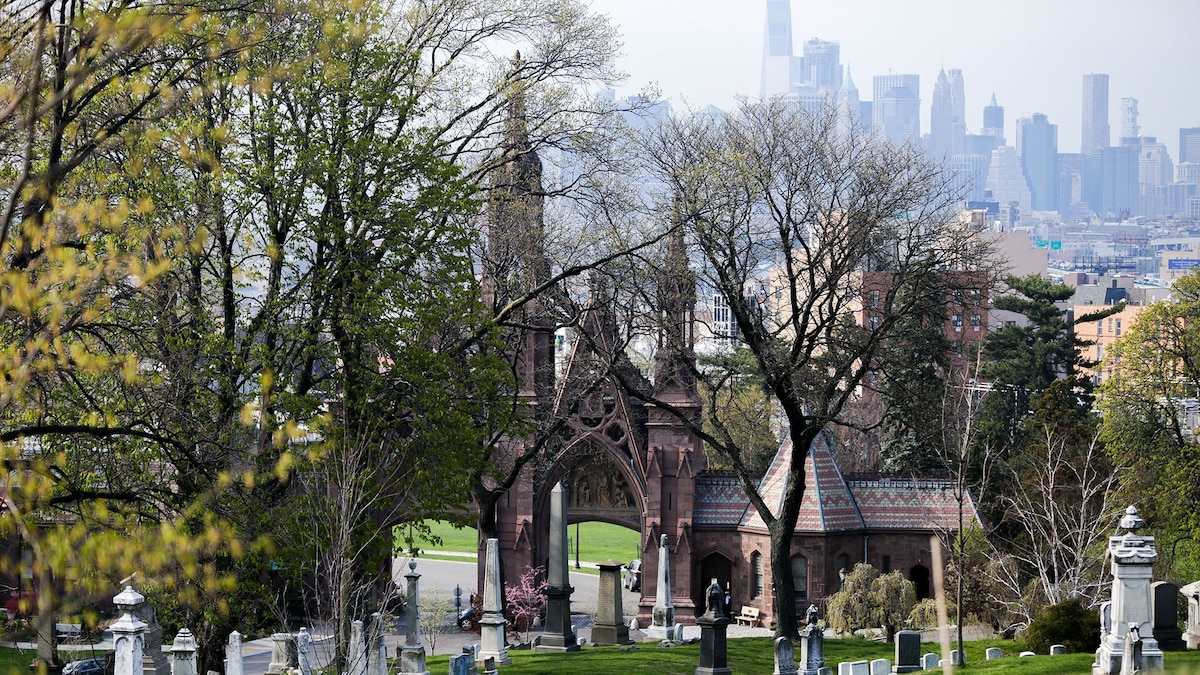 Cemeteries are home to diverse plants and animals—even new species ...