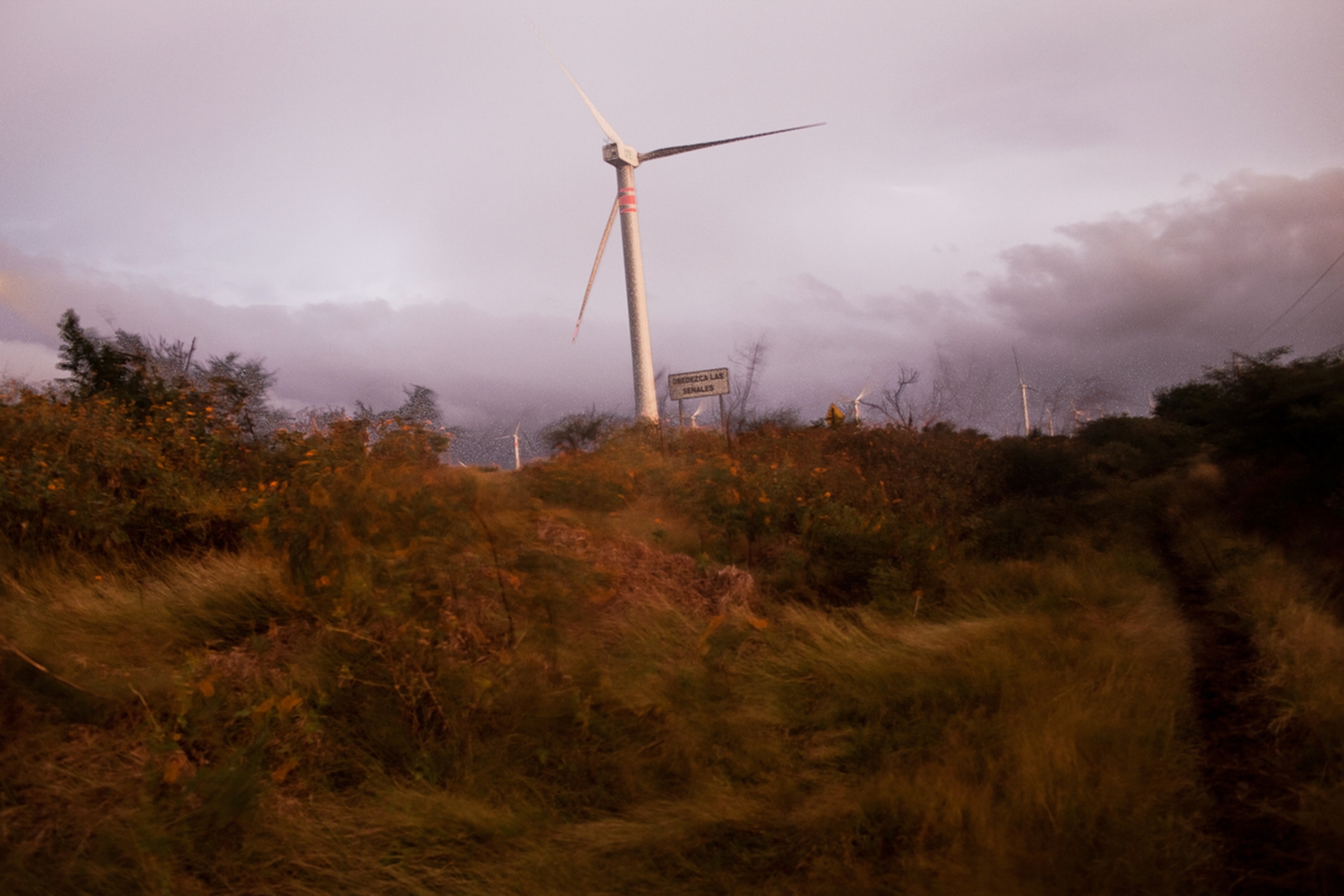 Mexico's Robust Wind Energy Prospects Ruffle Nearby Villages in Oaxaca ...
