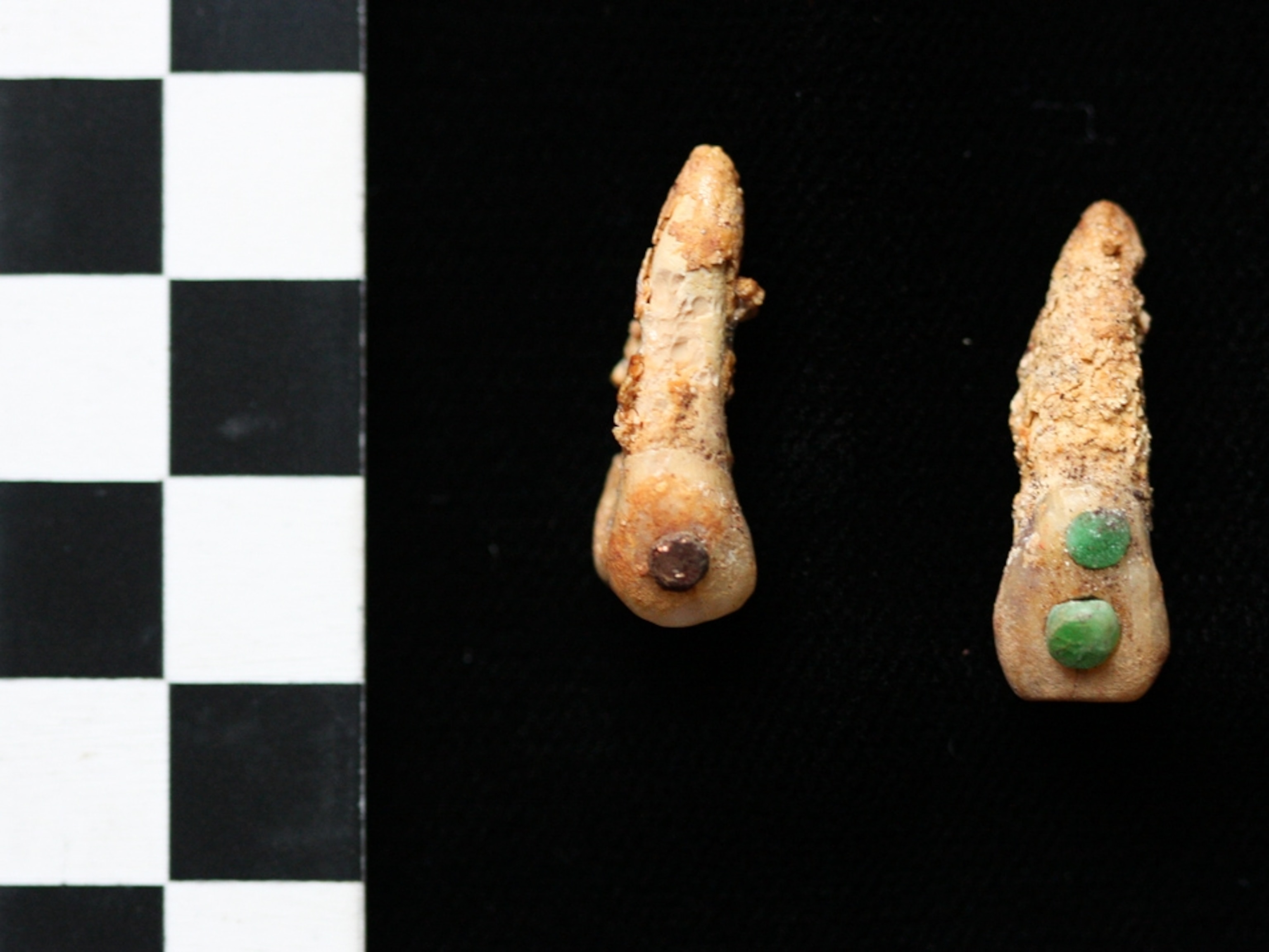 Pictures: Odd Maya Tomb Yields Jeweled Teeth, More