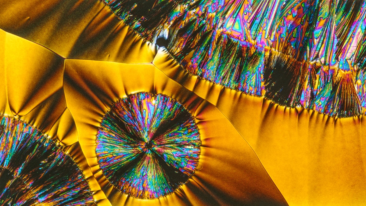 See the extraordinary splendor of ordinary chemicals | National Geographic