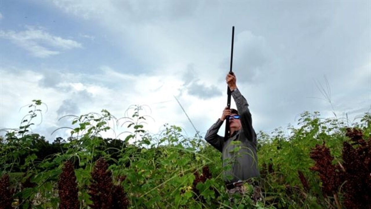 4 Places Where Hunters Are Working to Protect Game Animals | National ...