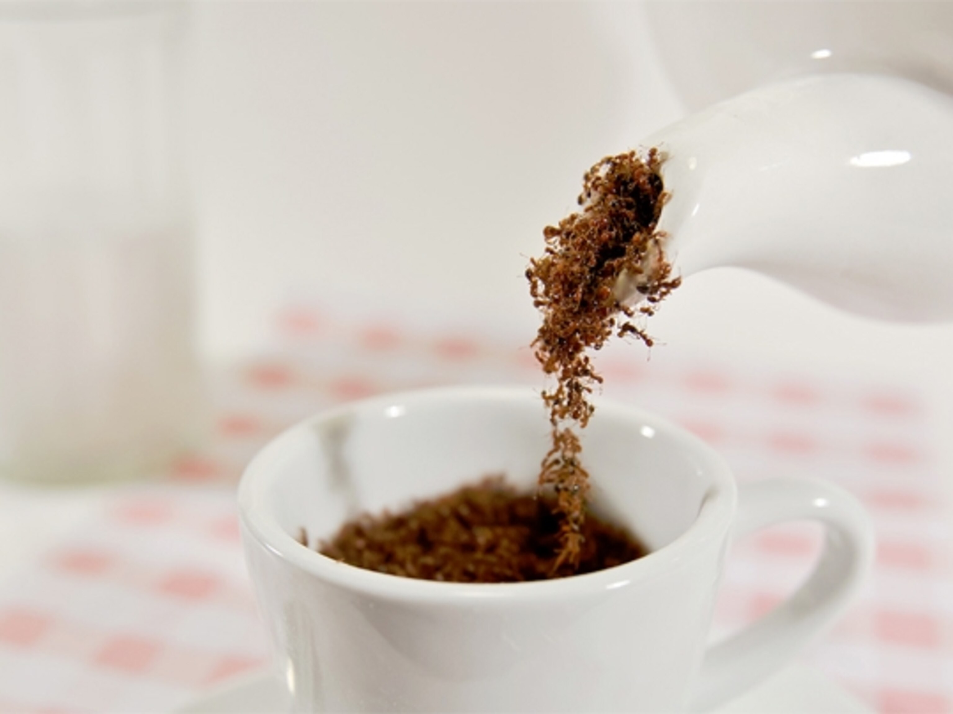 The Architecture of Living Buildings