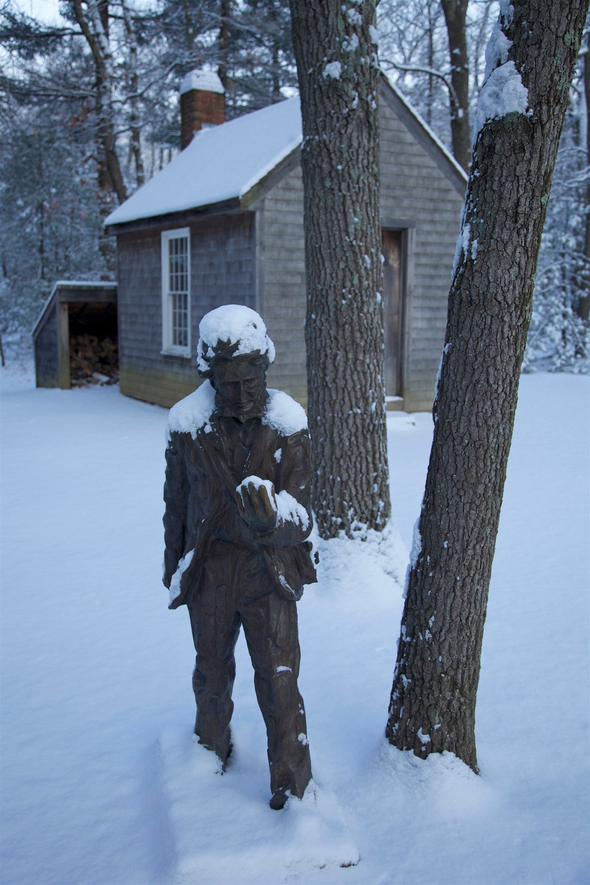See Why Thoreau's Walden Still Inspires