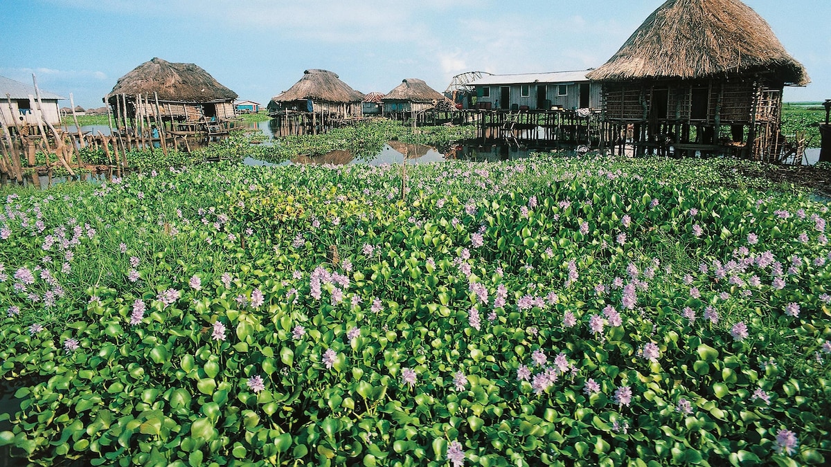 Benin Travel Guide | National Geographic