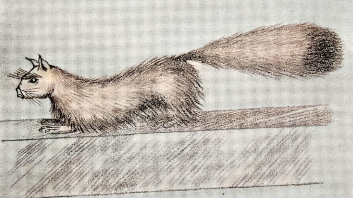 The strange story of Gef, the Isle of Man’s talking mongoose | National ...