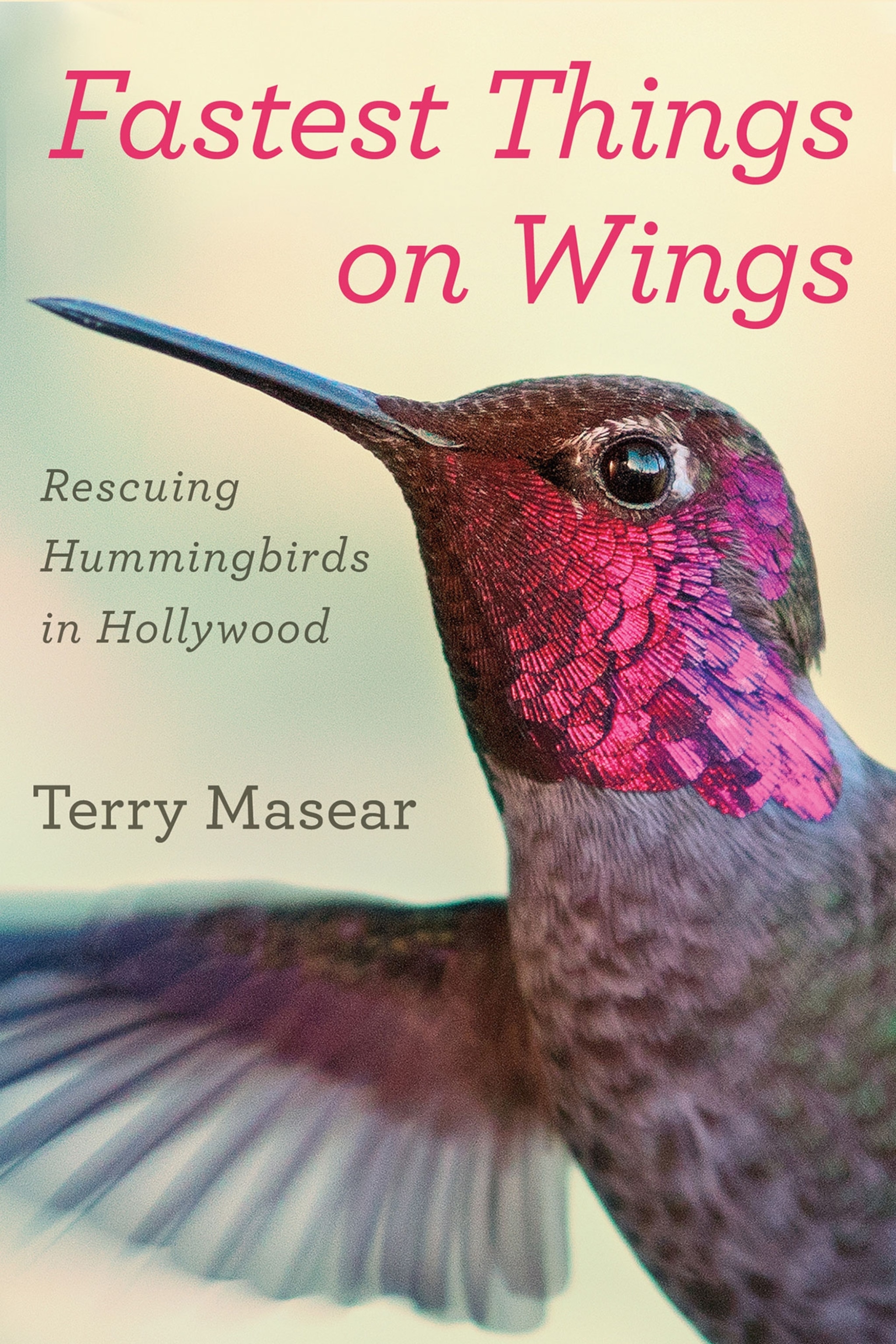Hollywood's Hummingbird Rehabber Tells All