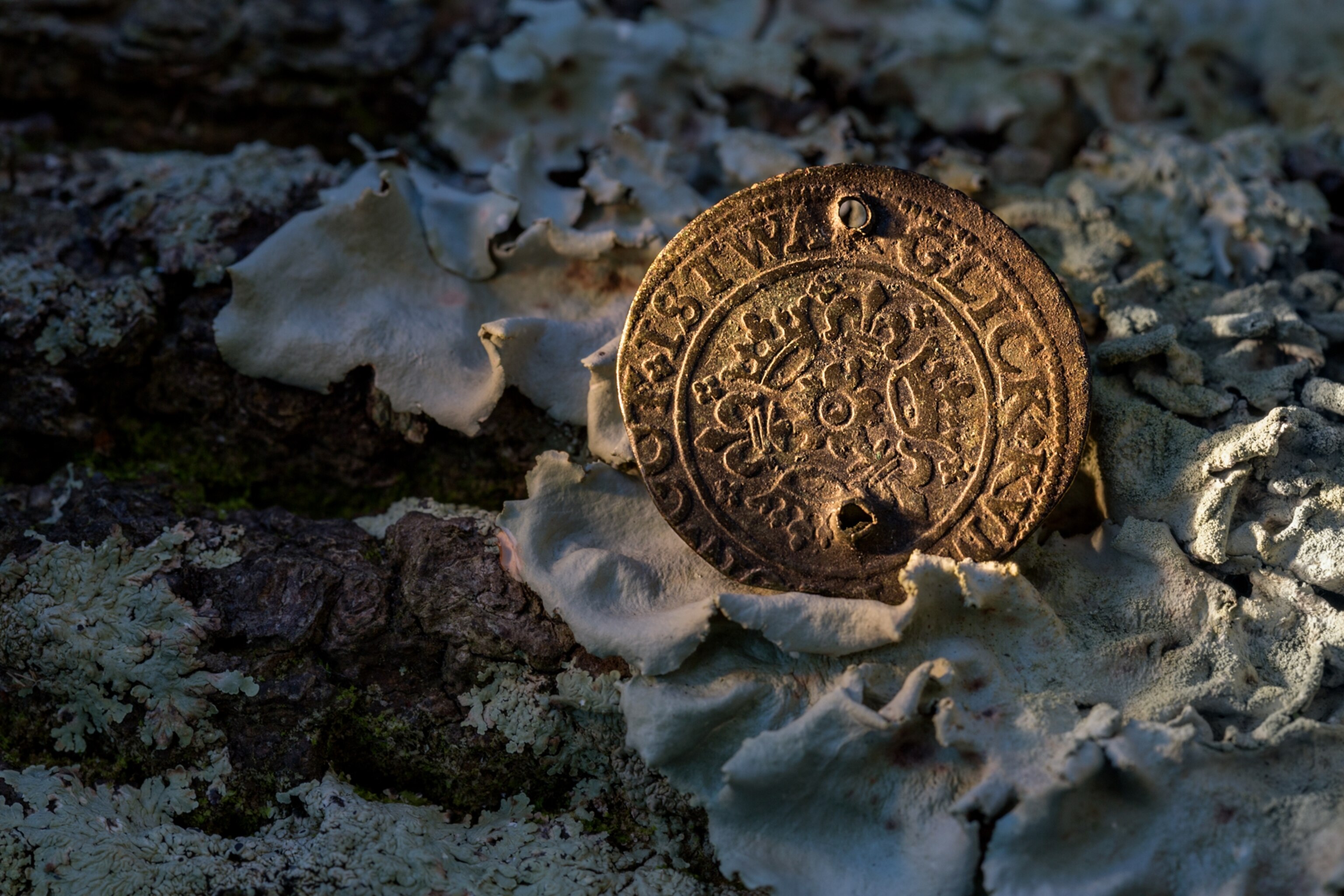 The Search for the Lost Colony of Roanoke