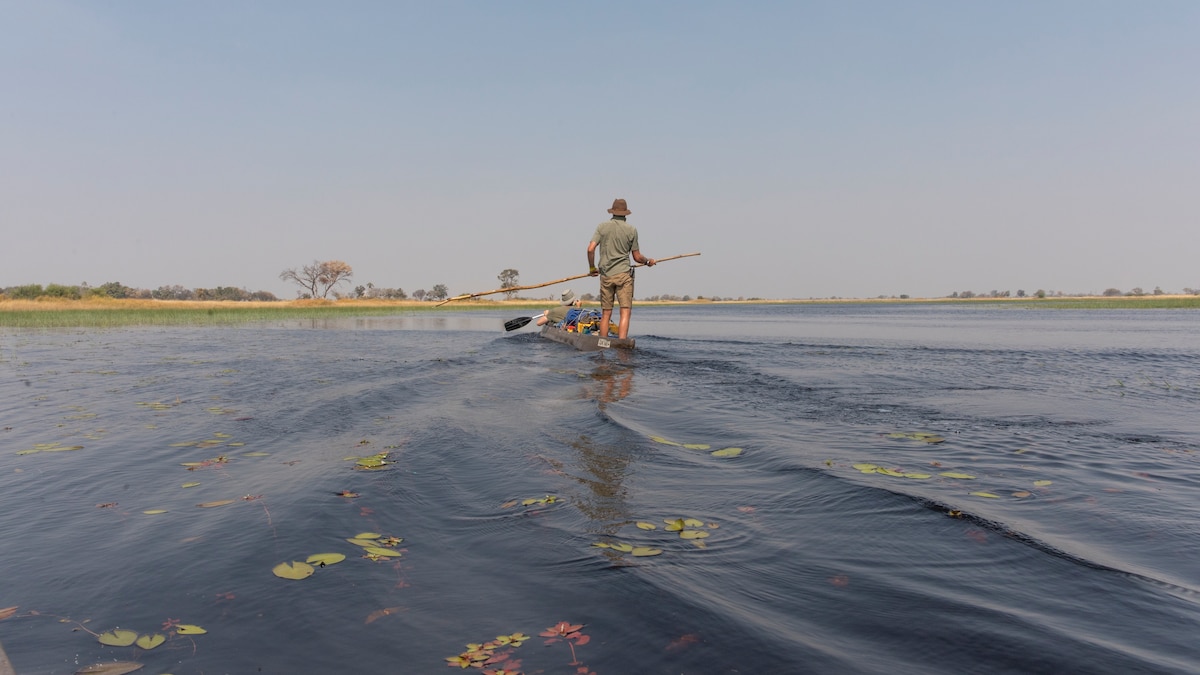 Steve Boyes traces life to its source in the Angolan Highlands