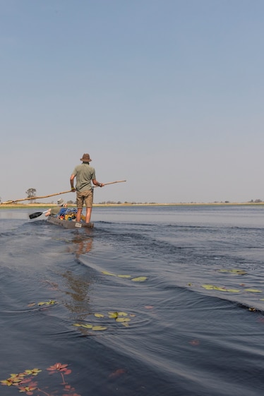 Steve Boyes traces life to its source in the Angolan Highlands