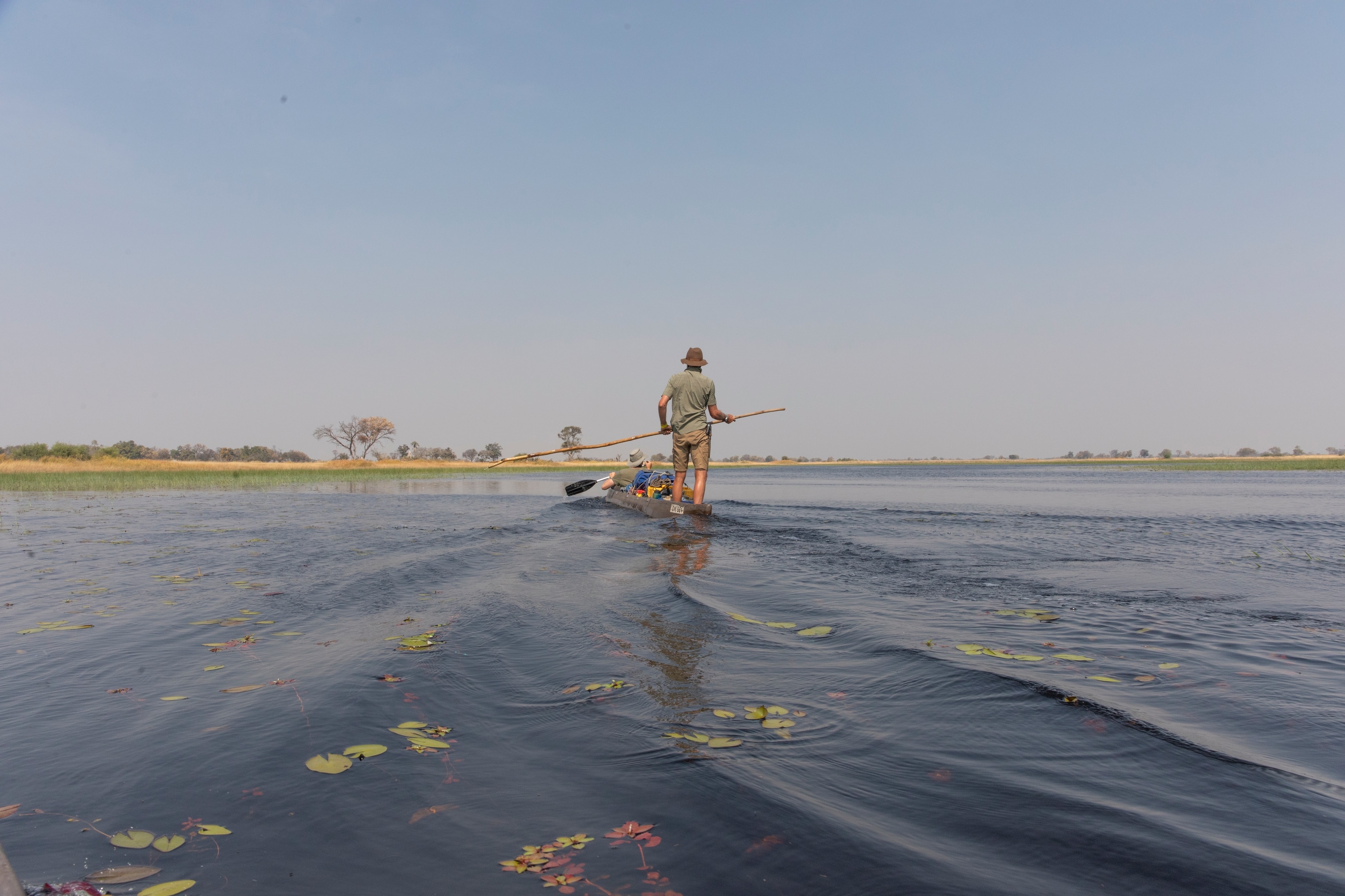 Steve Boyes traces life to its source in the Angolan Highlands