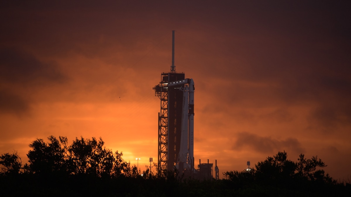 Here’s where to find rockets and wildlife on Florida’s Space Coast ...