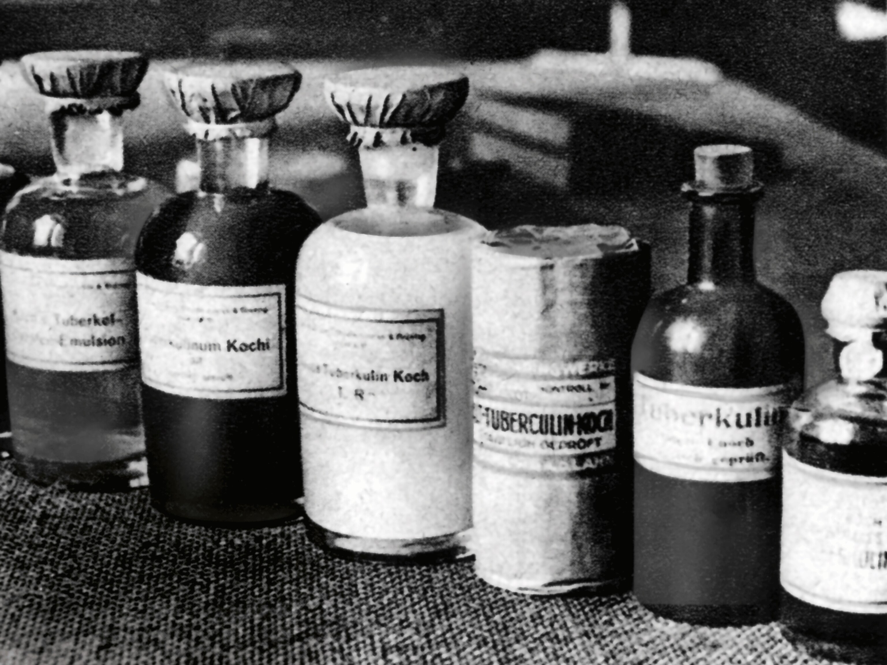 This 'bacteria hunter' discovered the causes of tuberculosis, anthrax ...