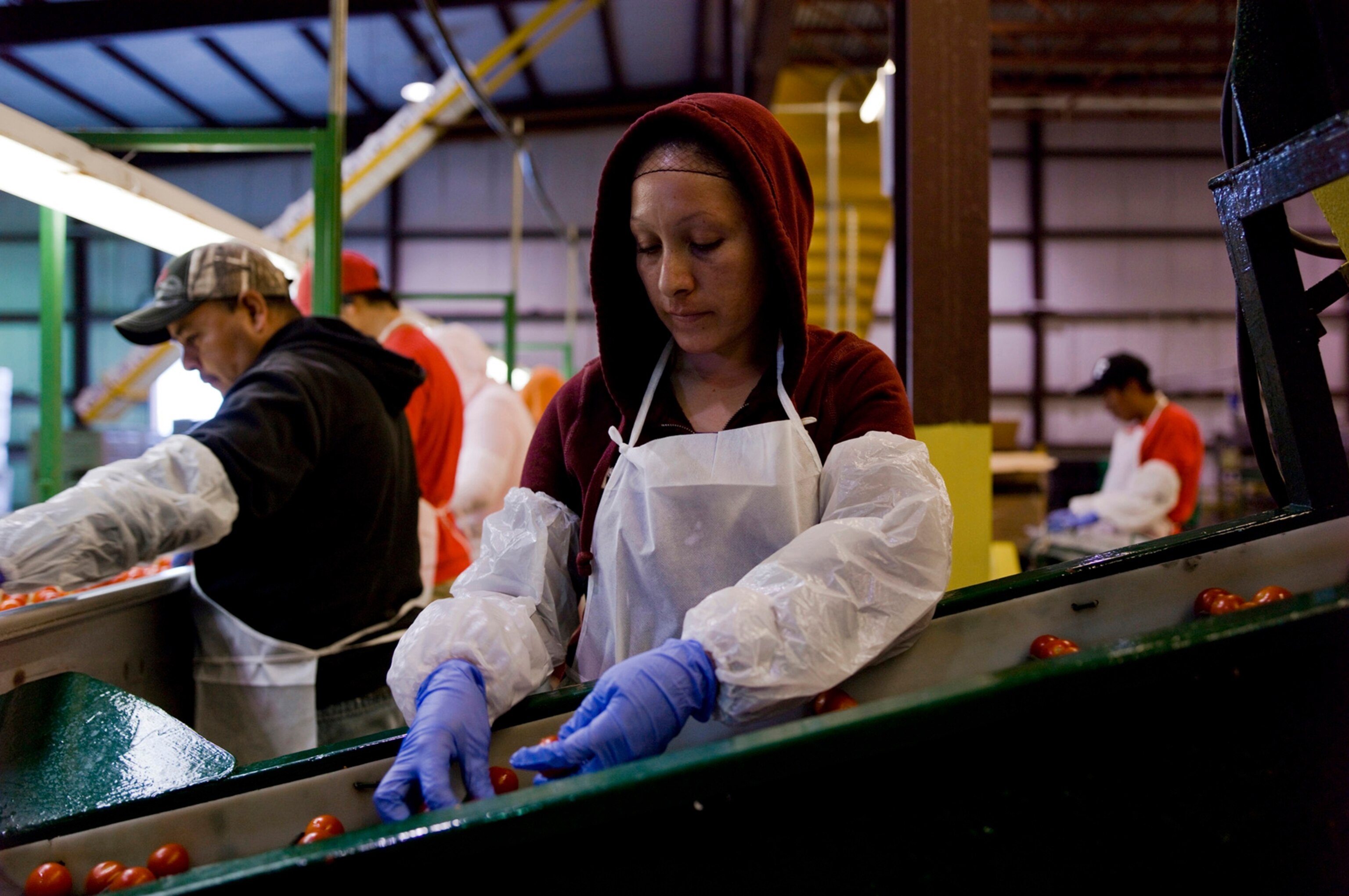 Anthony Suau’s Organic Rising | National Geographic