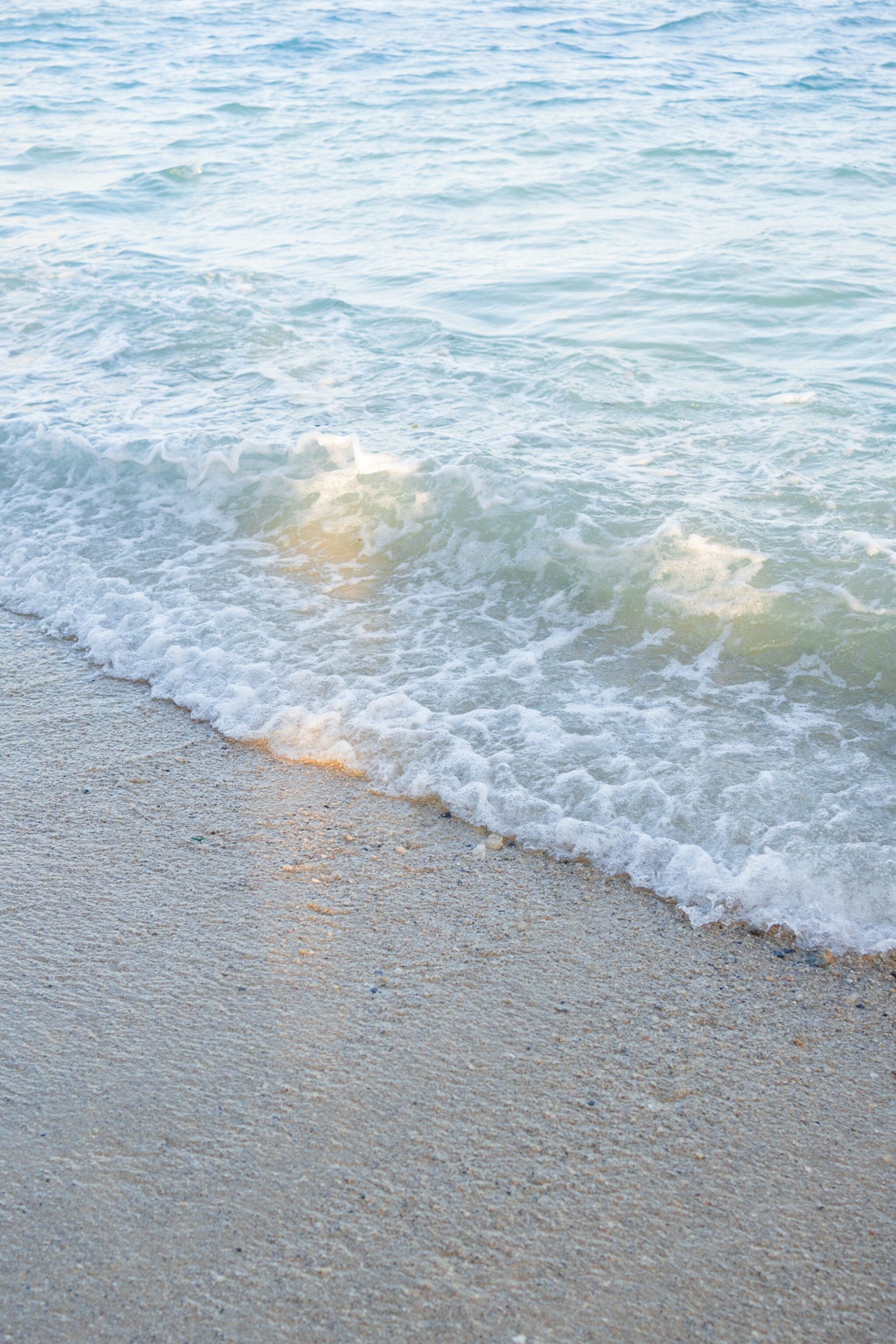 The hidden sites of Japanese incarceration in Hawaii