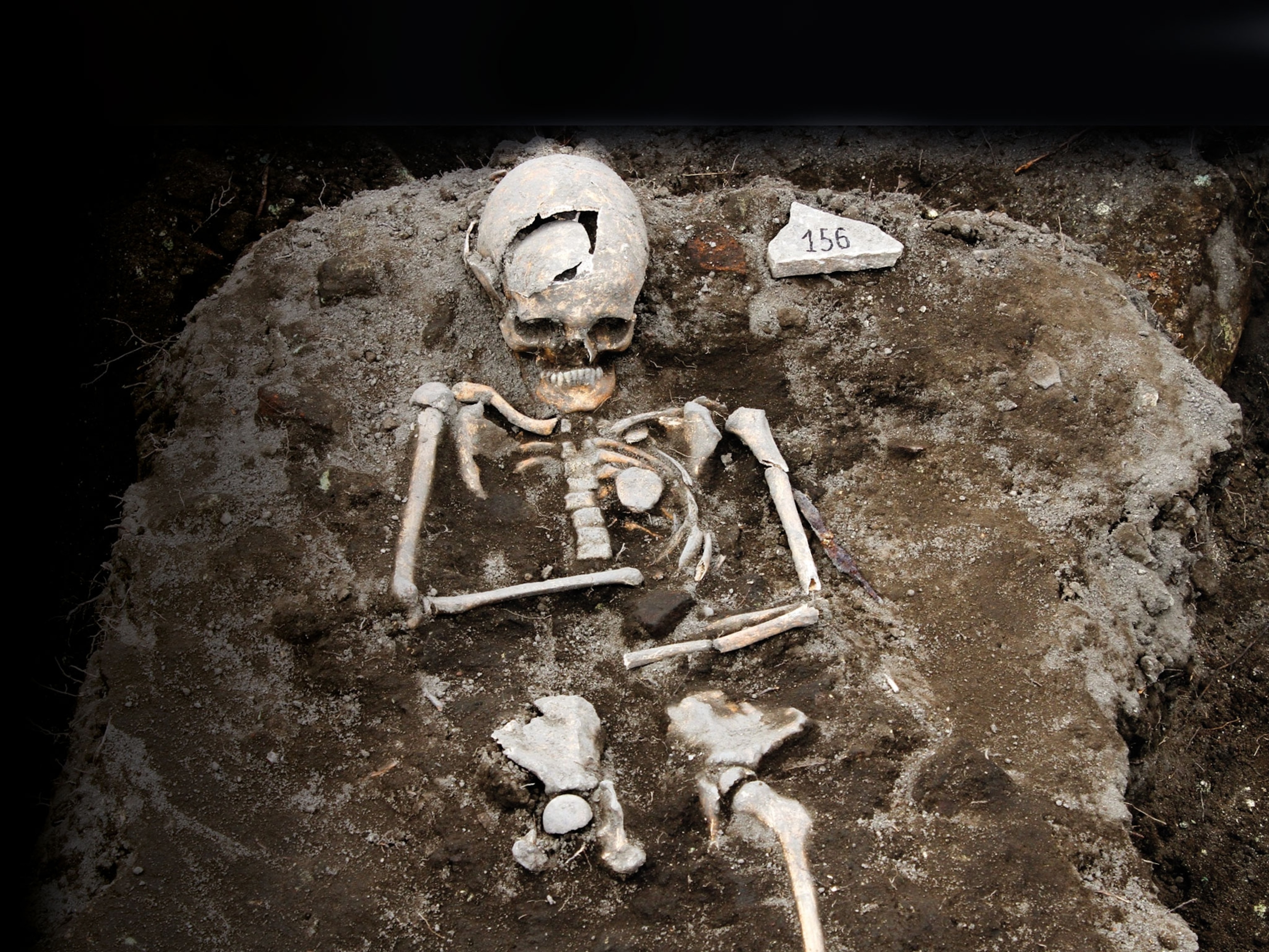 An 18th-century guide to hunting vampires inspired the first works of ...