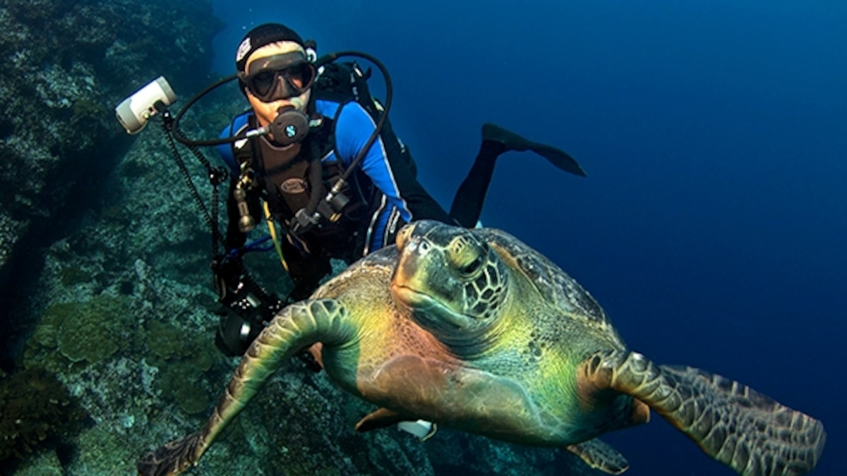 Travel Lens: Ocean Hero Enric Sala | National Geographic