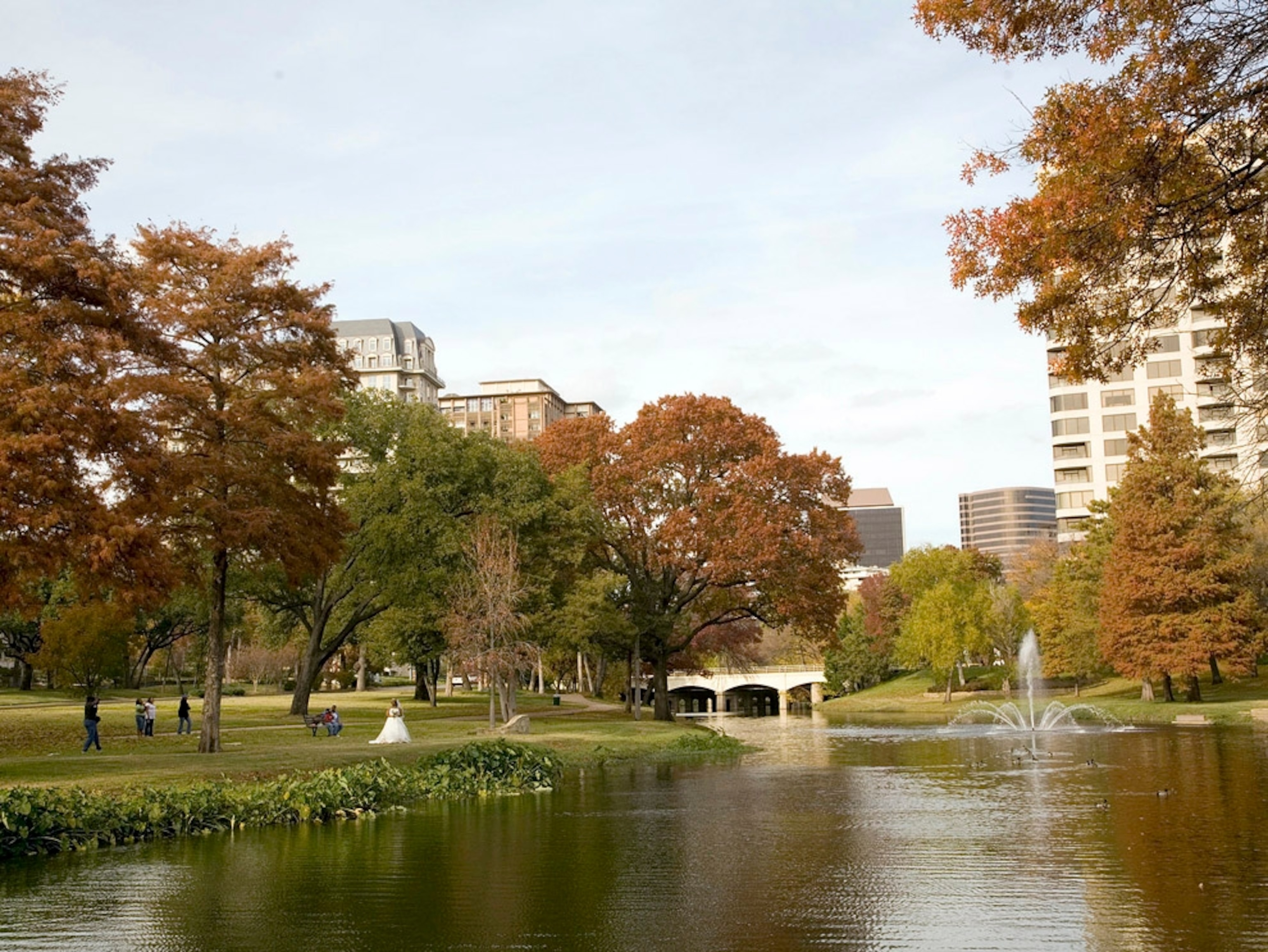 More Scenes from Dallas: Culture, Architecture & Energy | National ...