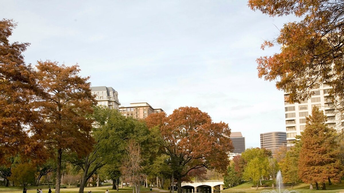 Dallas Must-Dos -- National Geographic's Ultimate City Guides ...