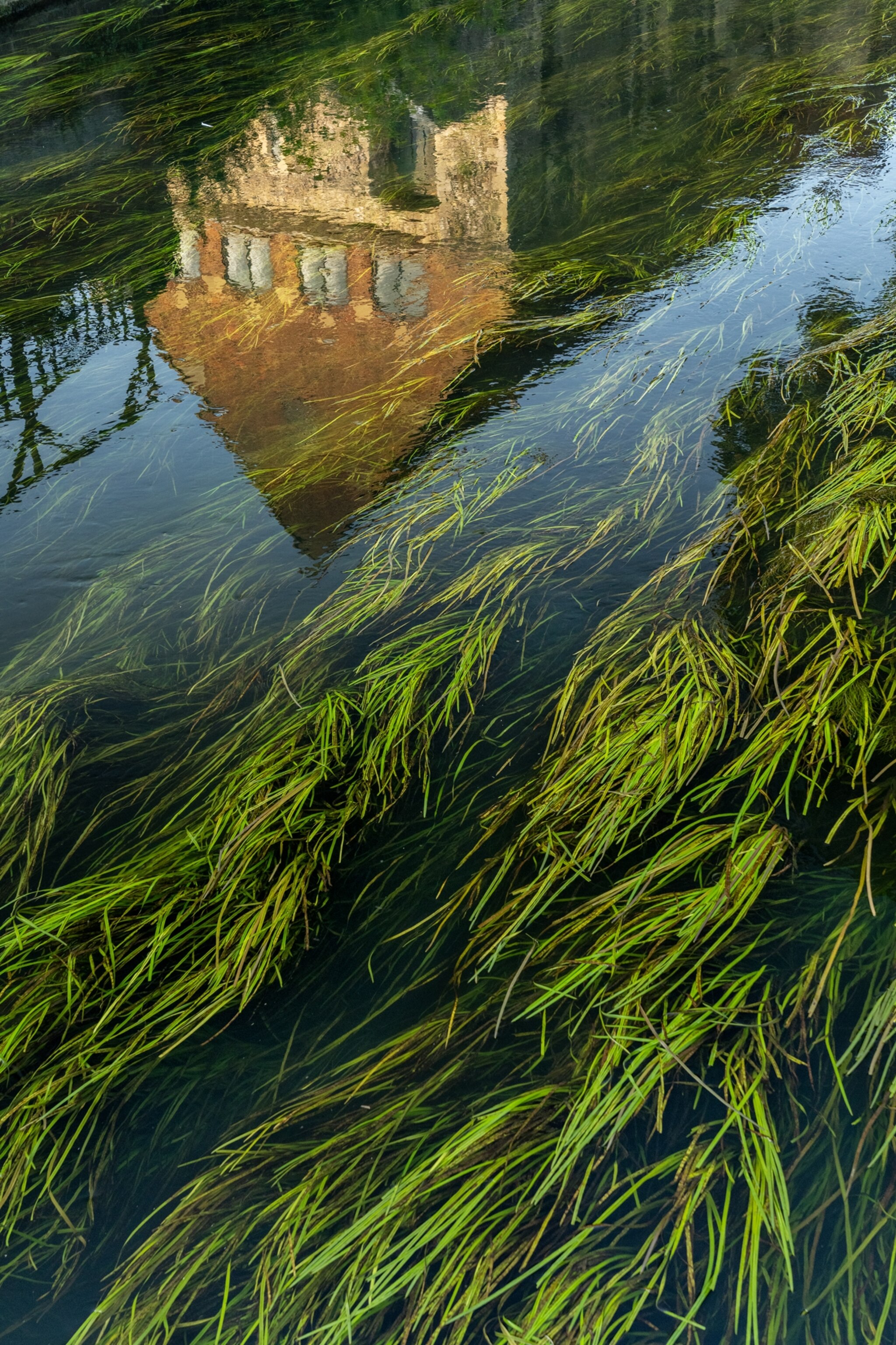England’s chalk streams were millions of years in the making. Can they ...
