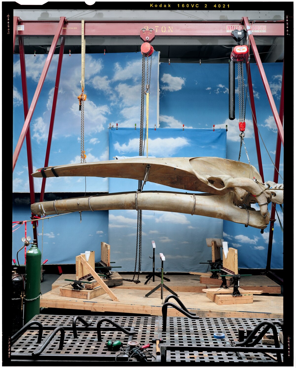 Go behind the scenes of dinosaur fossil restoration