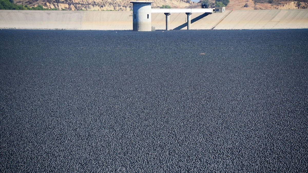 Why Did L.A. Drop 96 Million ‘Shade Balls’ Into Its Water? | National ...