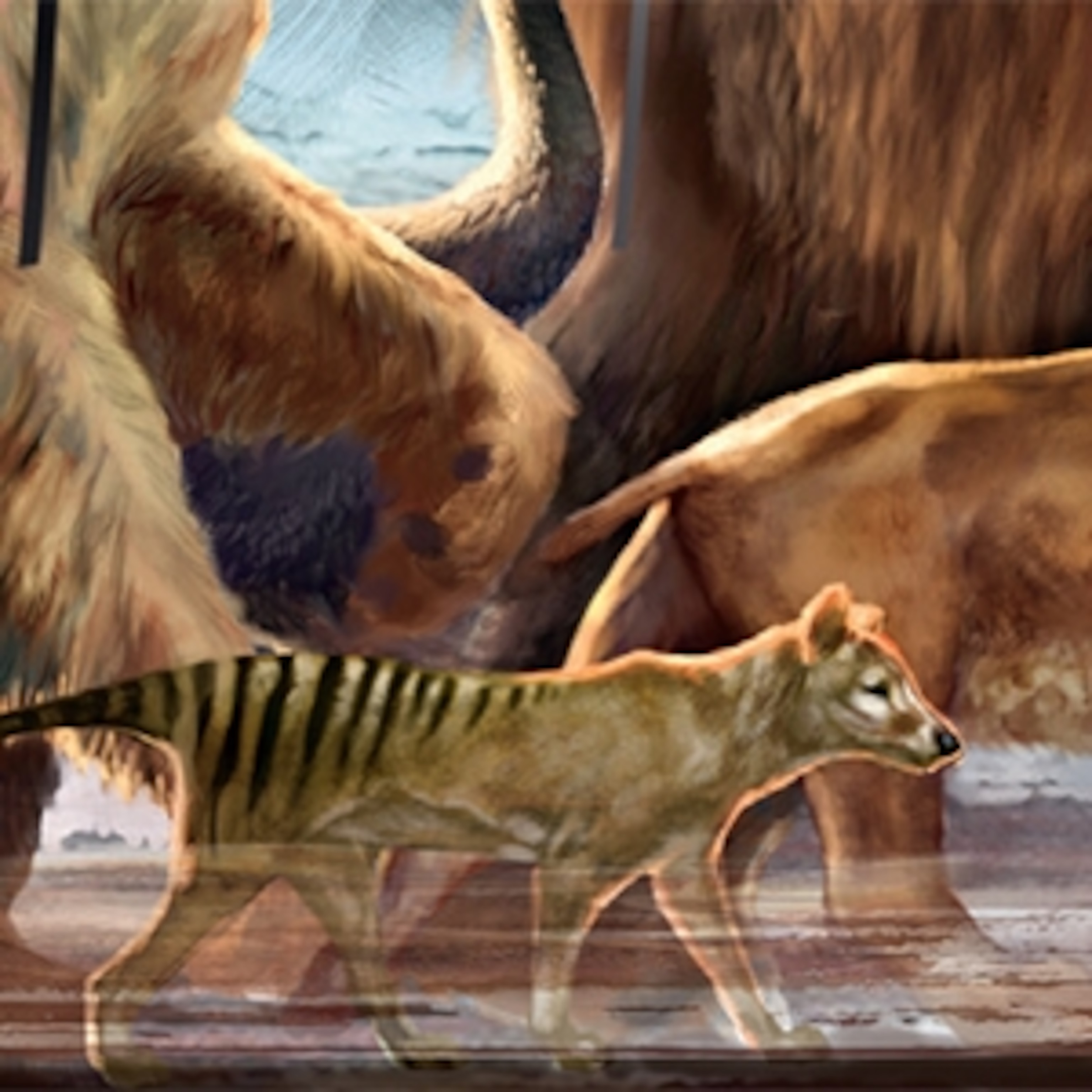 Behind the Cover: April 2013