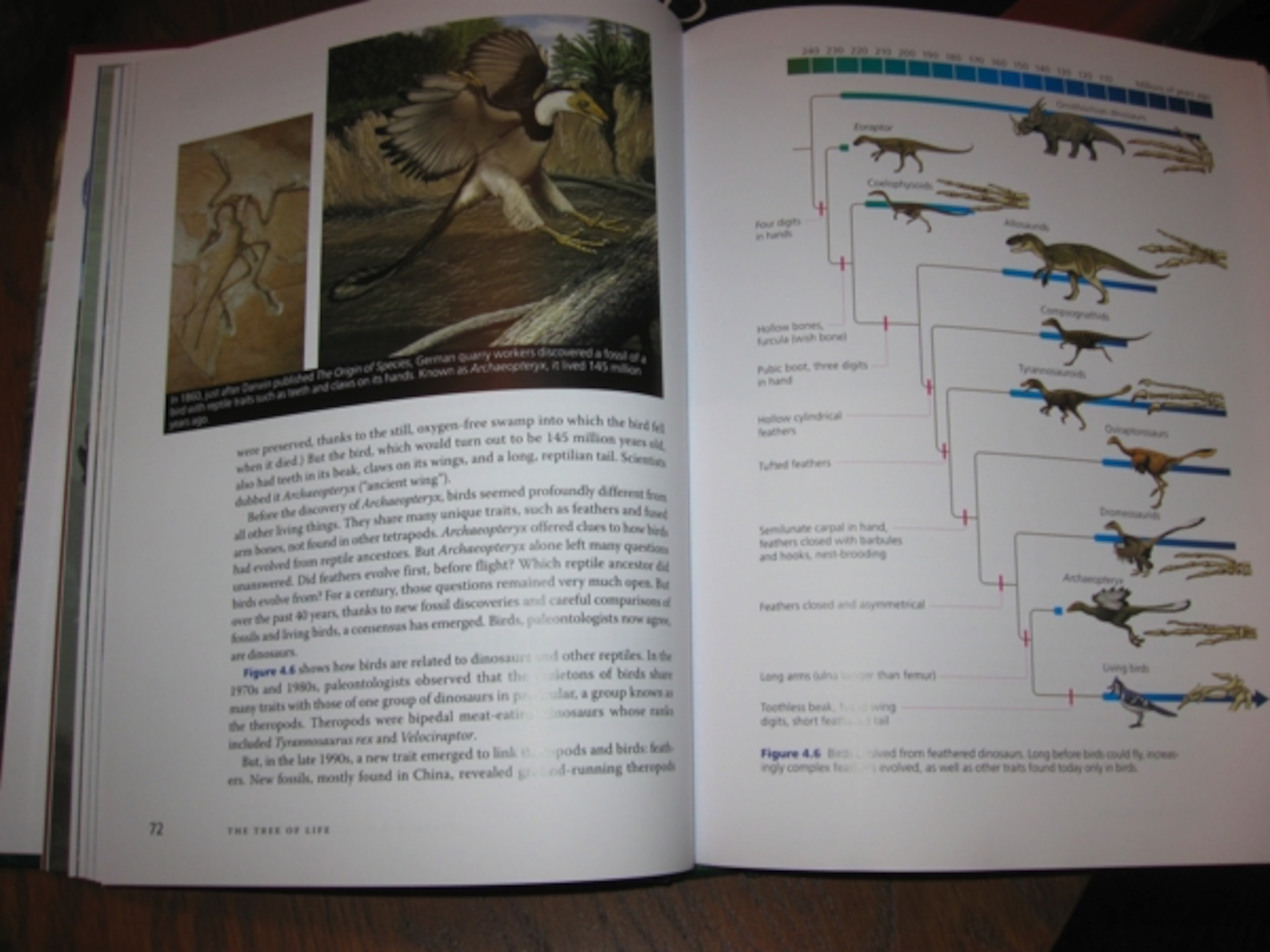 Pictures From A Proud Book Papa | National Geographic