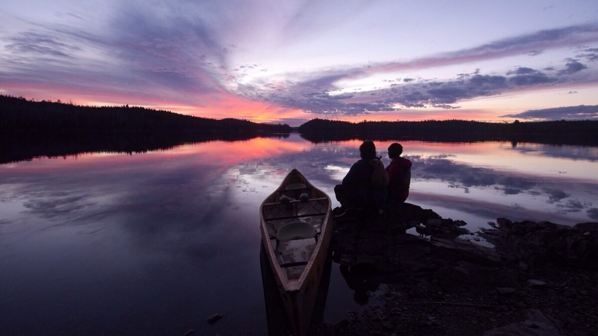 A Year in the Wilderness: Howling Wolves Remind Us We Are Only Visitors ...