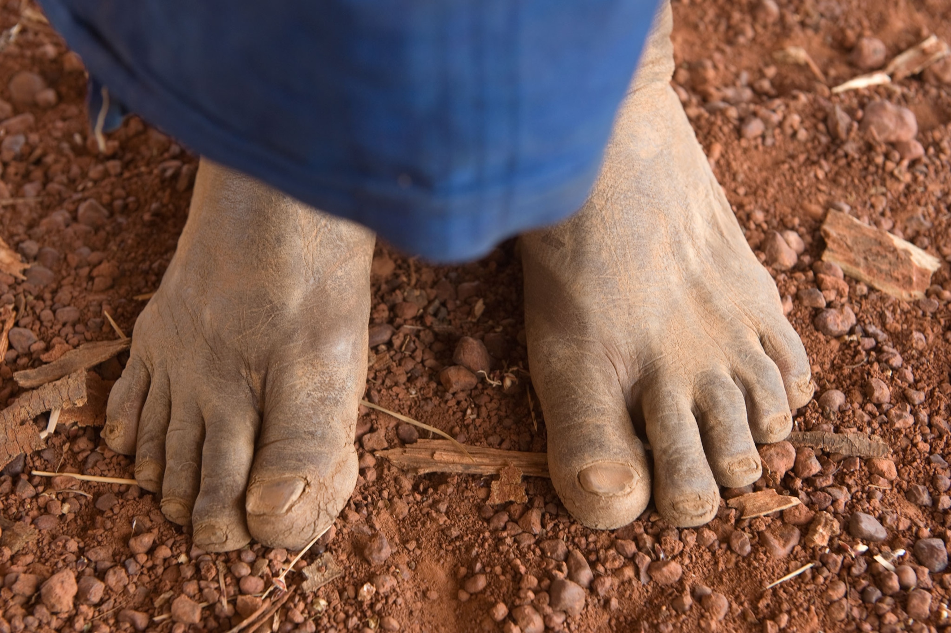 Tardigrades, Shrimp, and Other Extreme Life-Forms