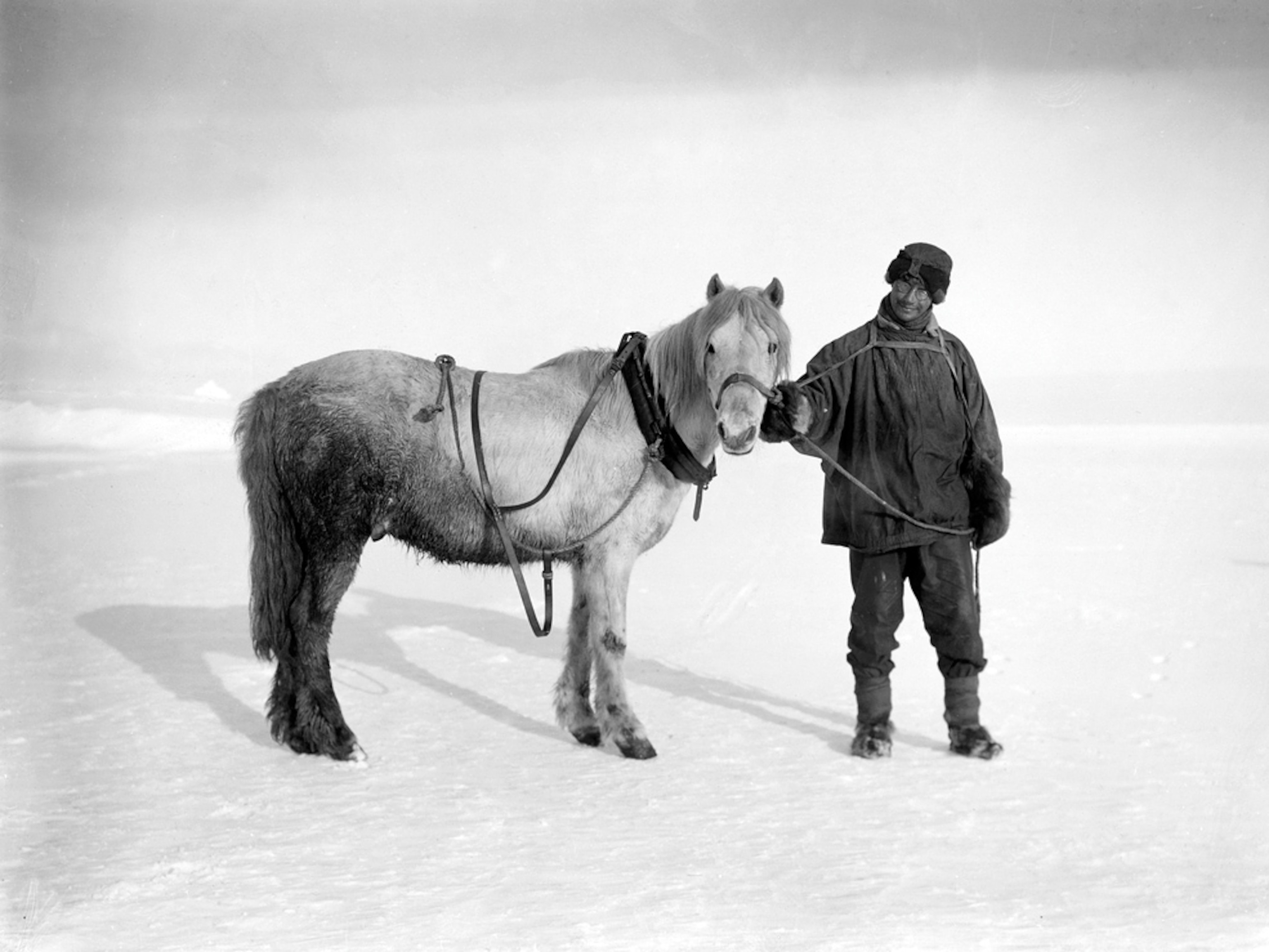 Rare Pictures: Scott's South Pole Expedition, 100 Years Later