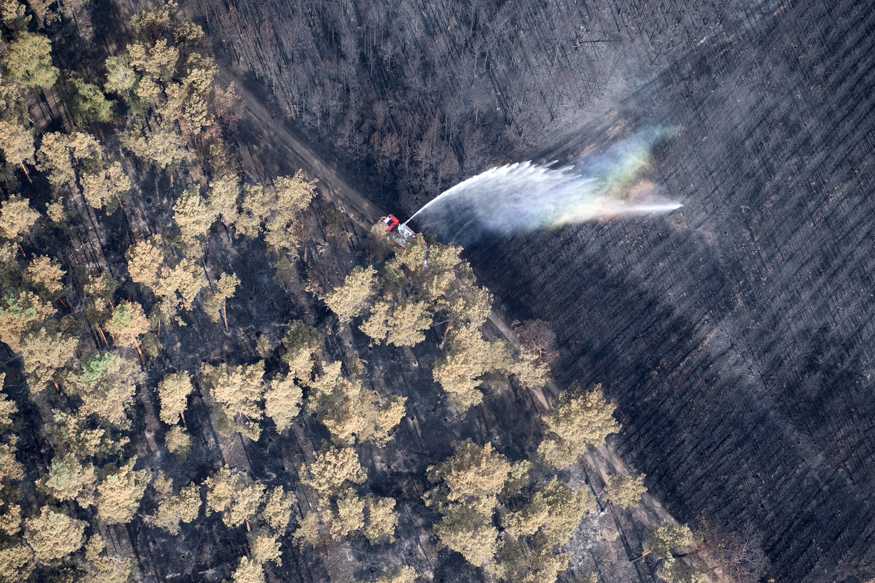 Meet the wildfire superspreaders