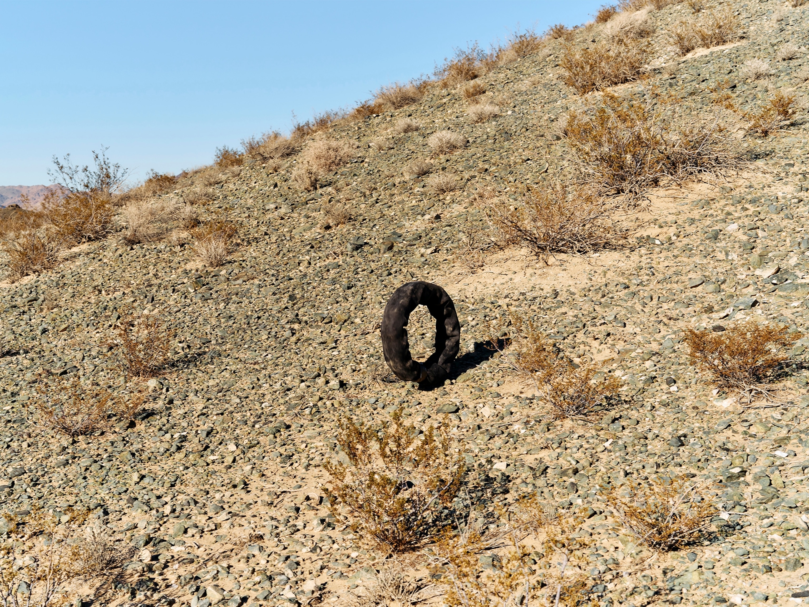 'Snakes' on the moon? These helpers could soon join our lunar mission.