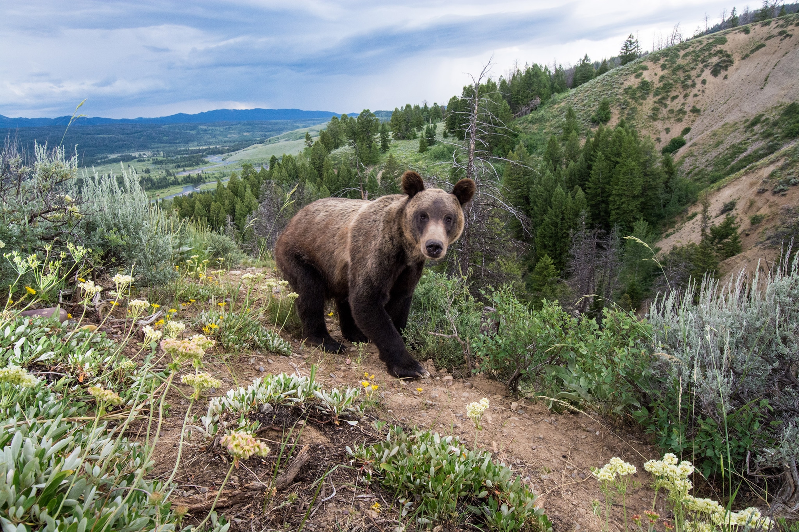 How to visit Grand Teton National Park