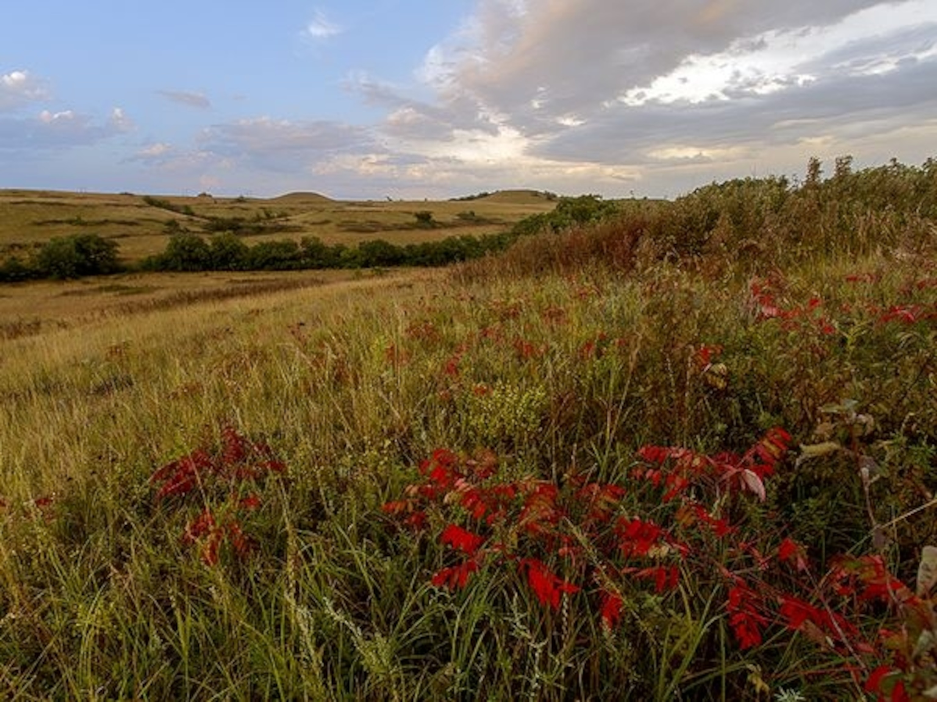 Kansas: Experience Life on the Prairie