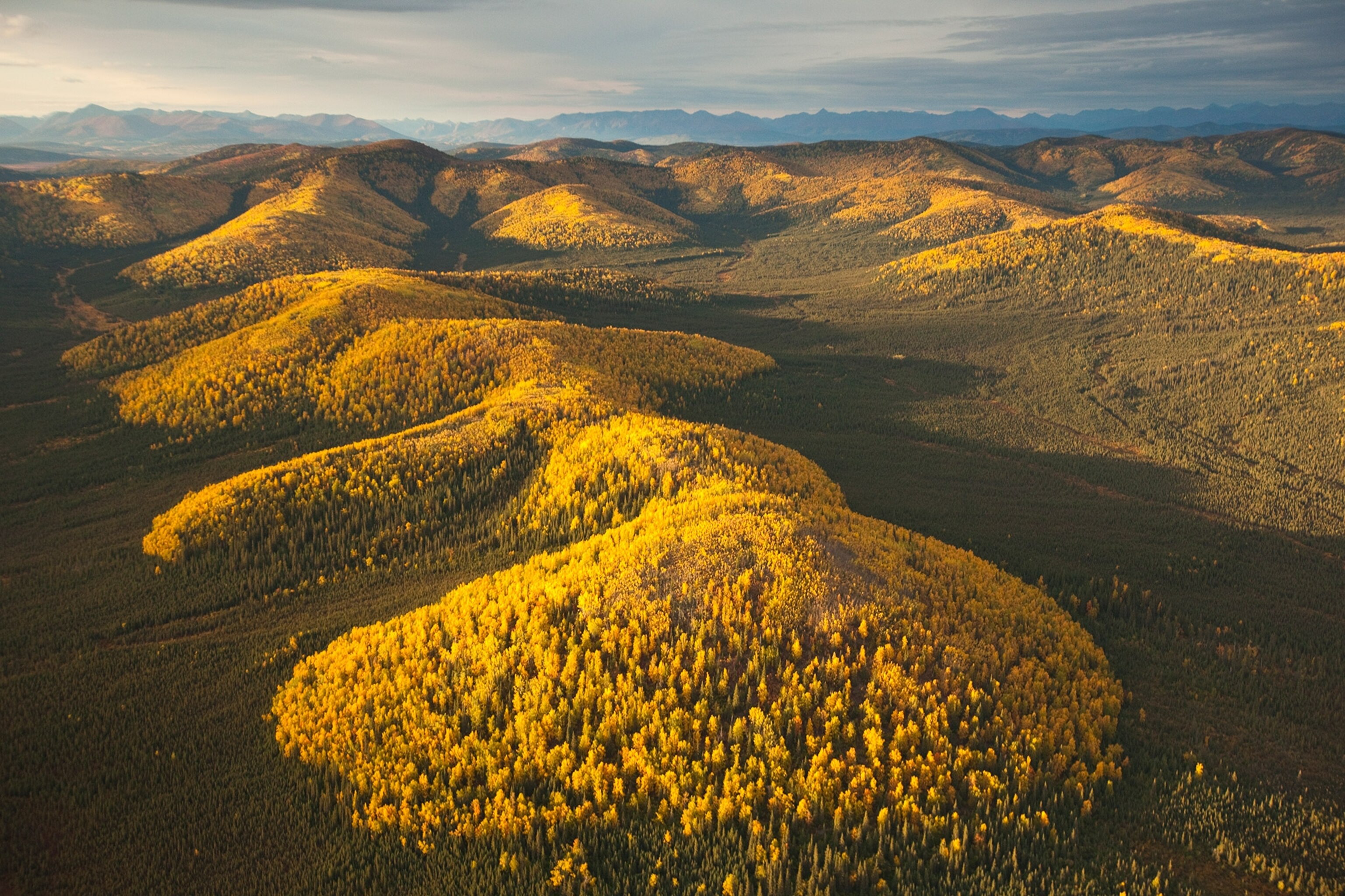 10 national parks that have the best fall foliage