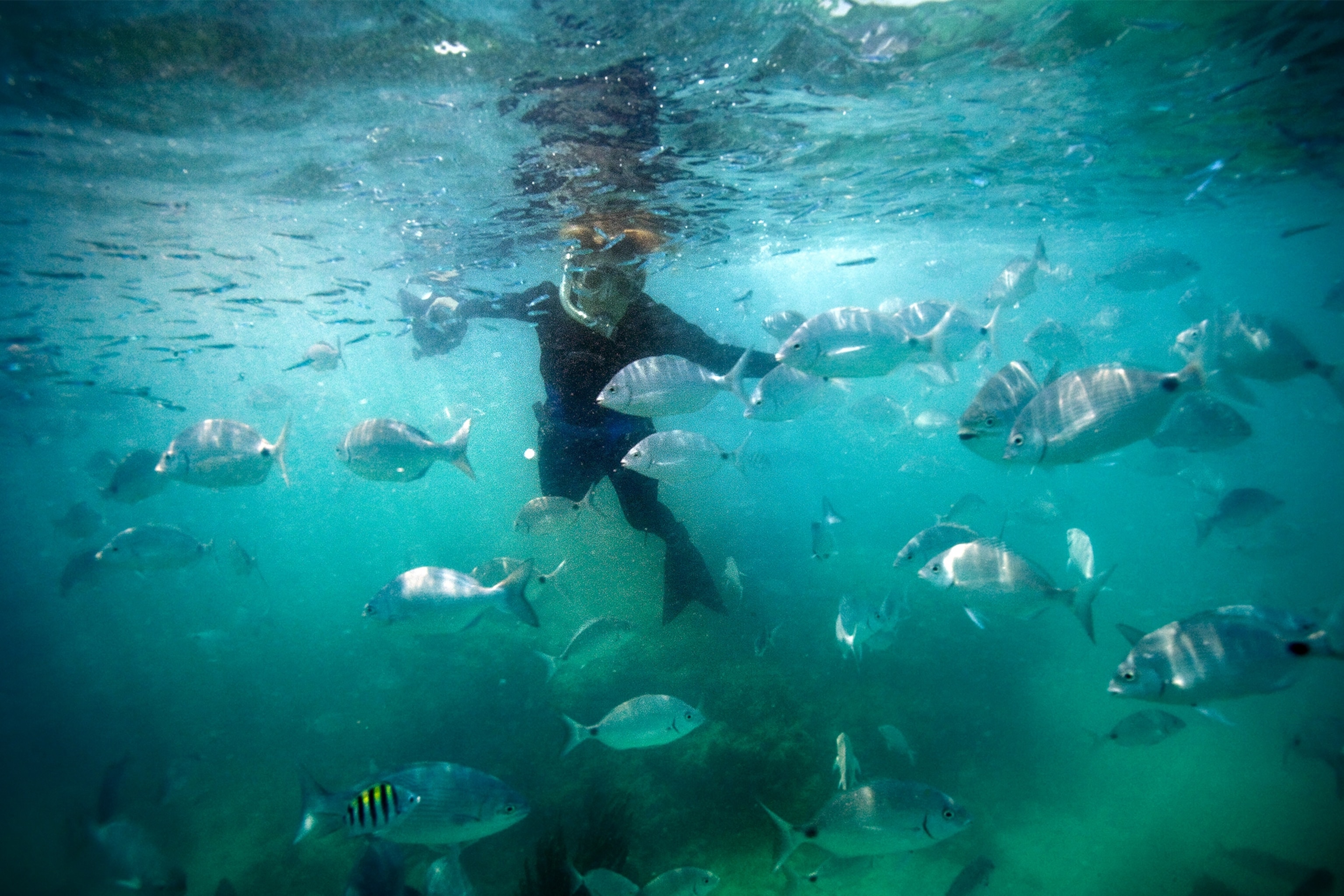 Glamour Magazine Honors Ocean Explorer Sylvia Earle | National Geographic