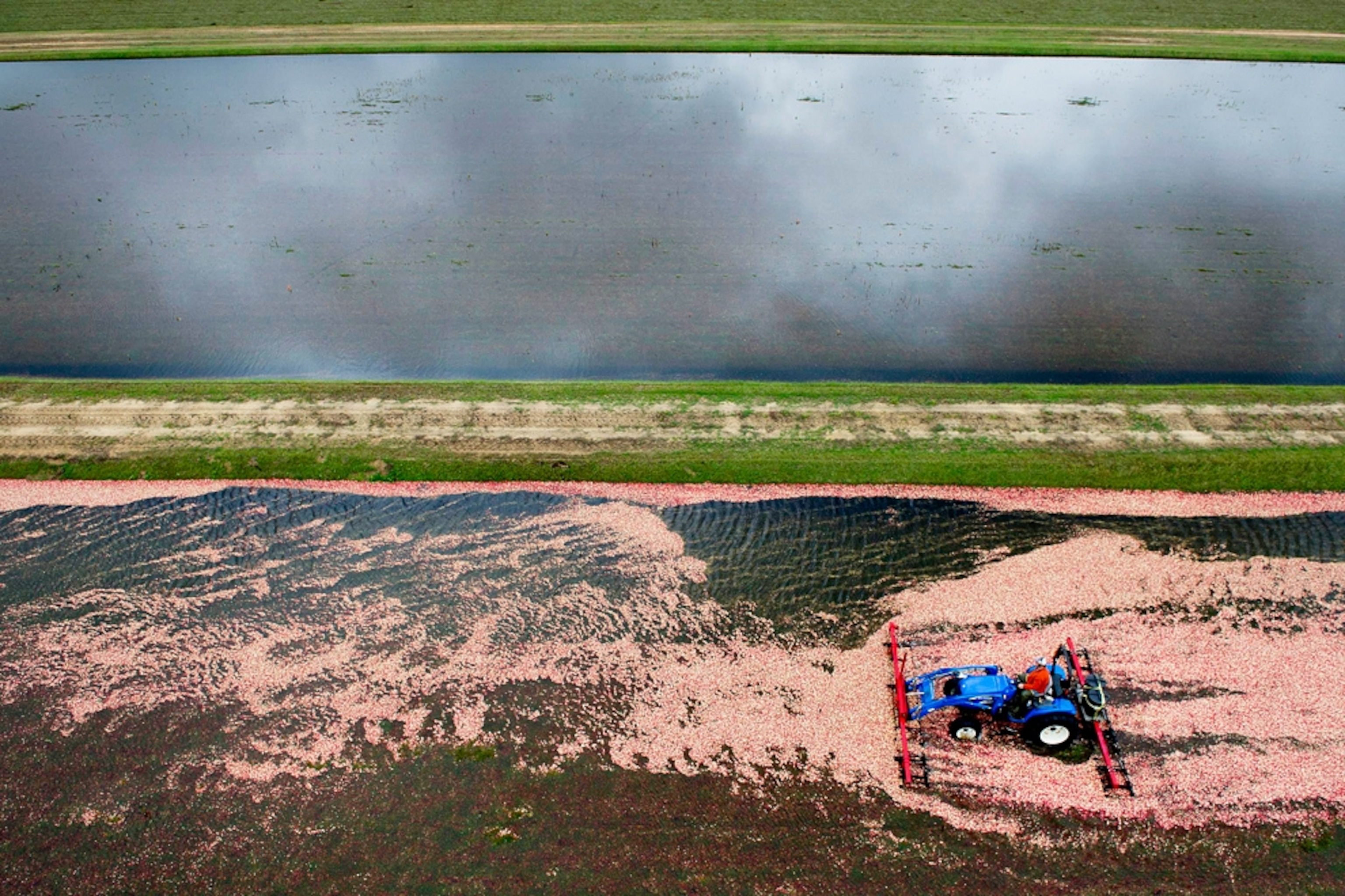 Pictures We Love: Best of September | National Geographic