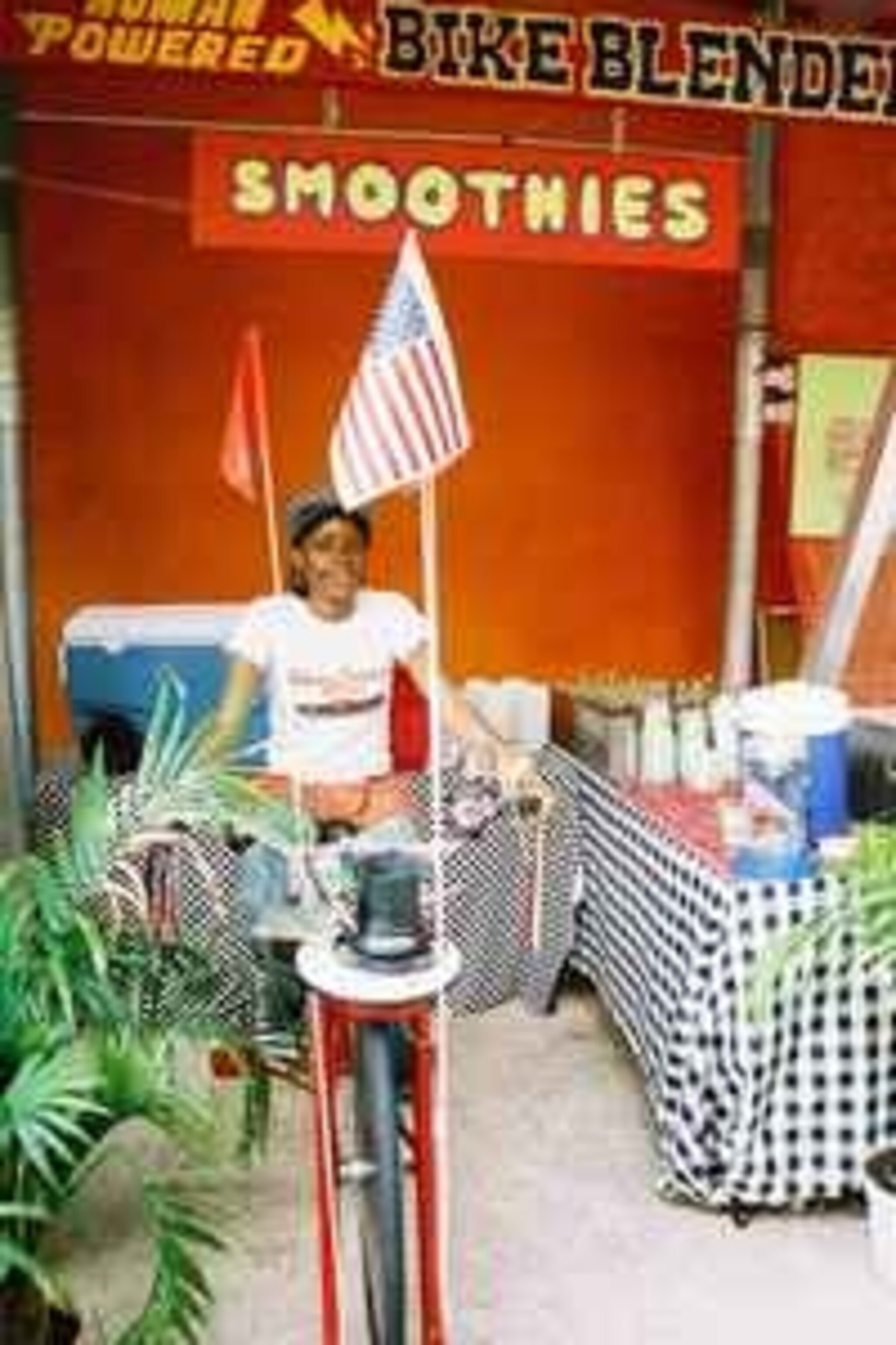 Brooklyn’s Solar-Powered Block Party