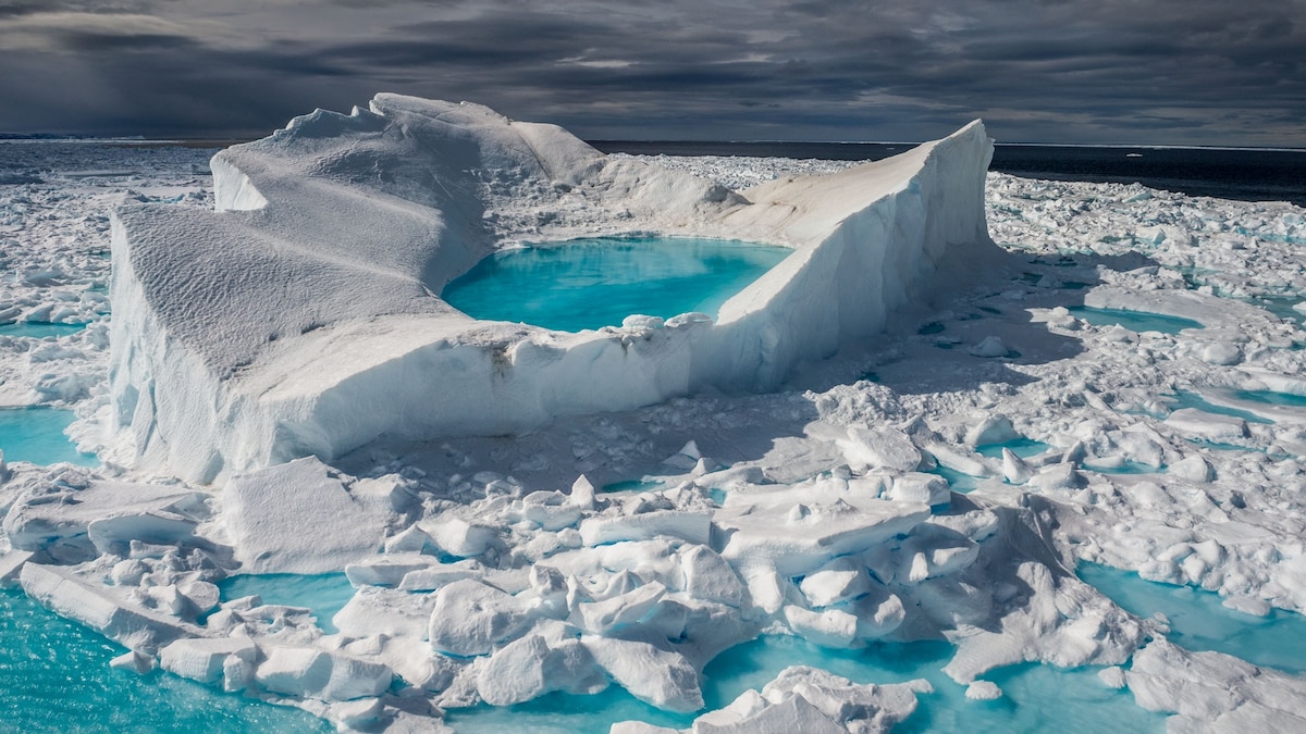 Arctic Wildlife's Last Habitat Will Be Ice Strip | National Geographic