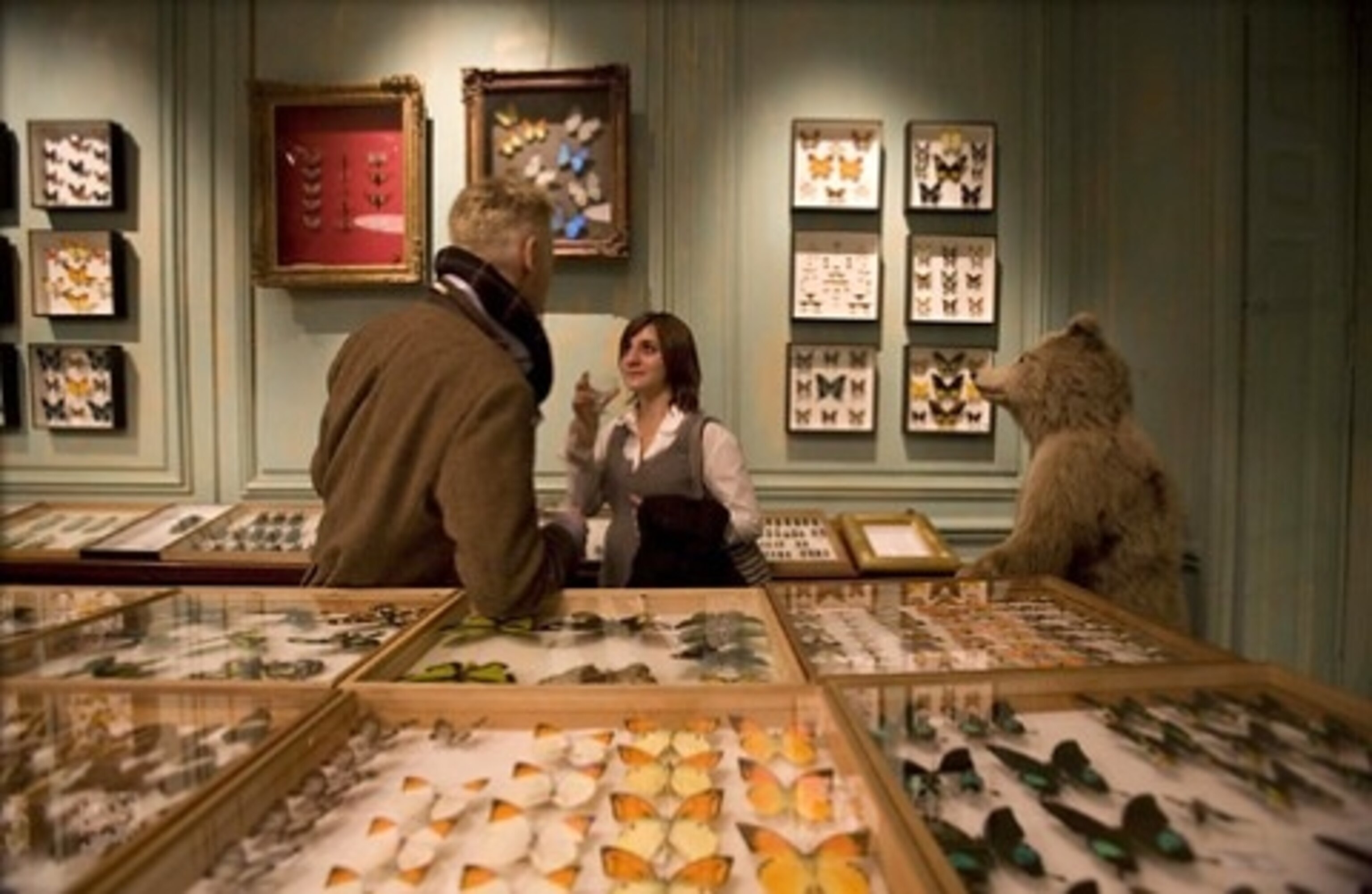 Behind the Lens: Paris’ Deyrolle Taxidermy Shop | National Geographic