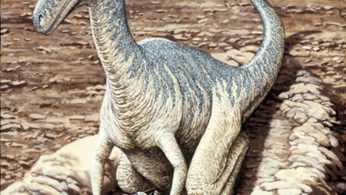 Jurassic Dad | National Geographic