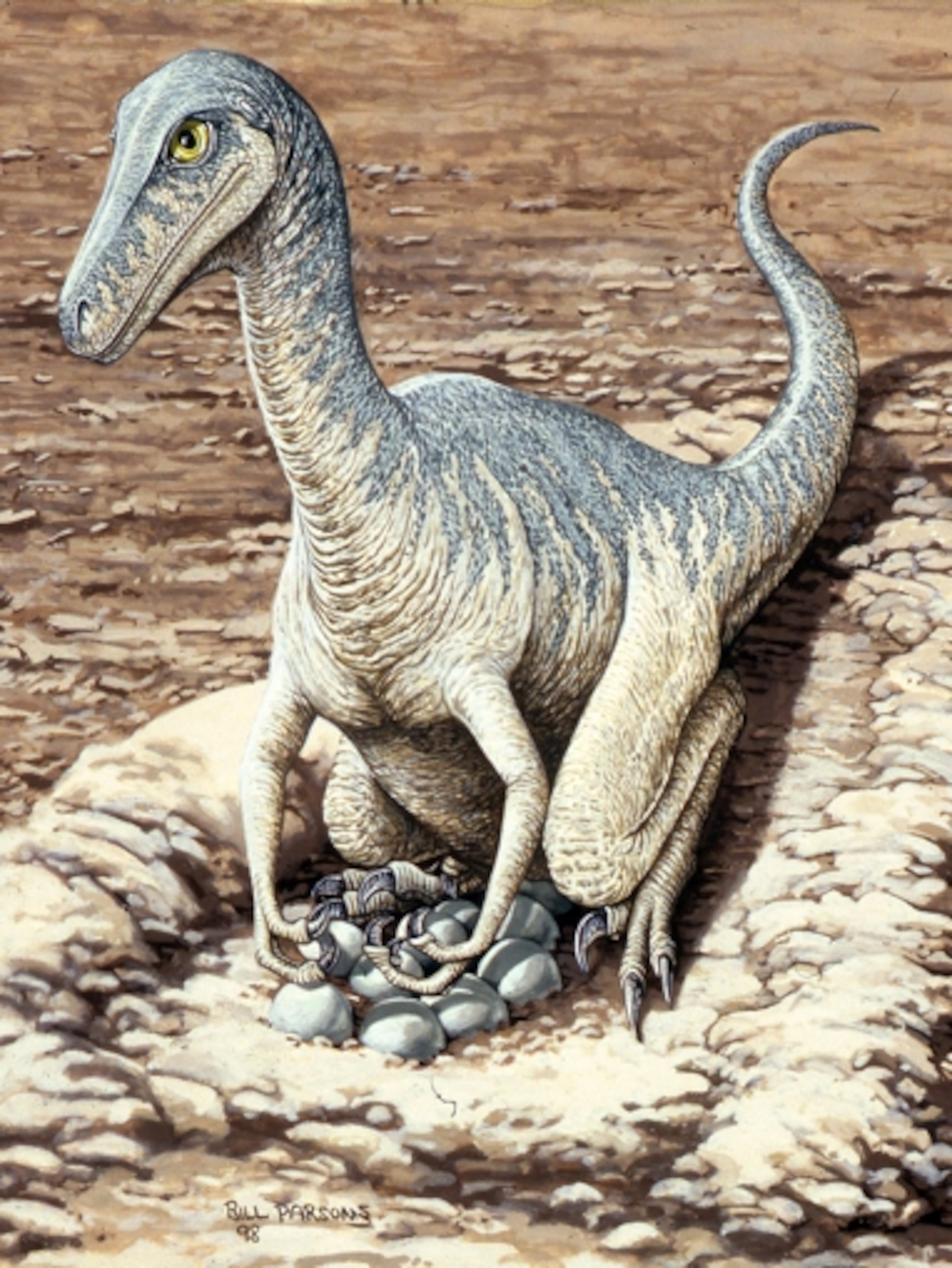 Jurassic Dad