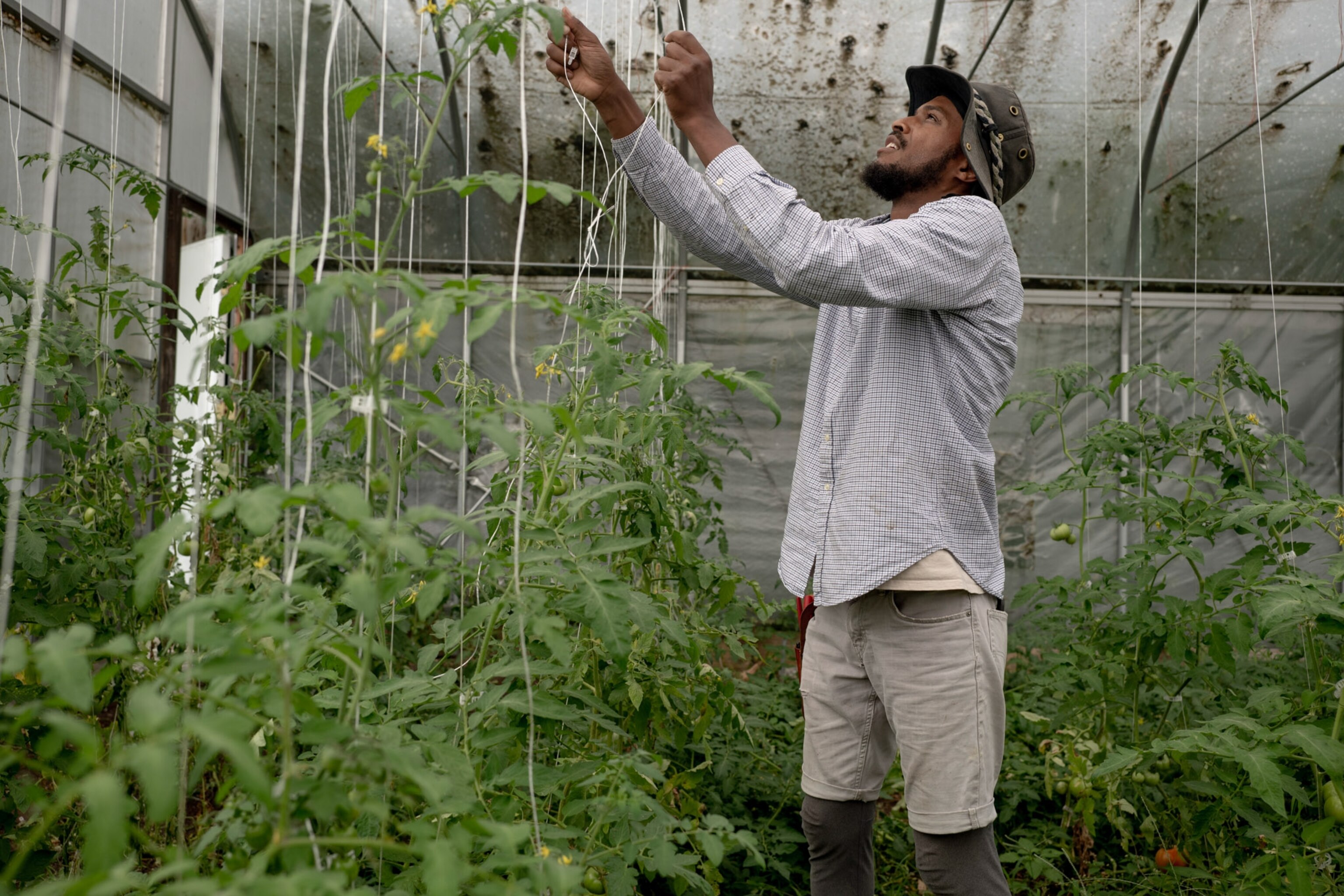 Grassroots efforts take on ‘food apartheid’ in Chicago’s South Side