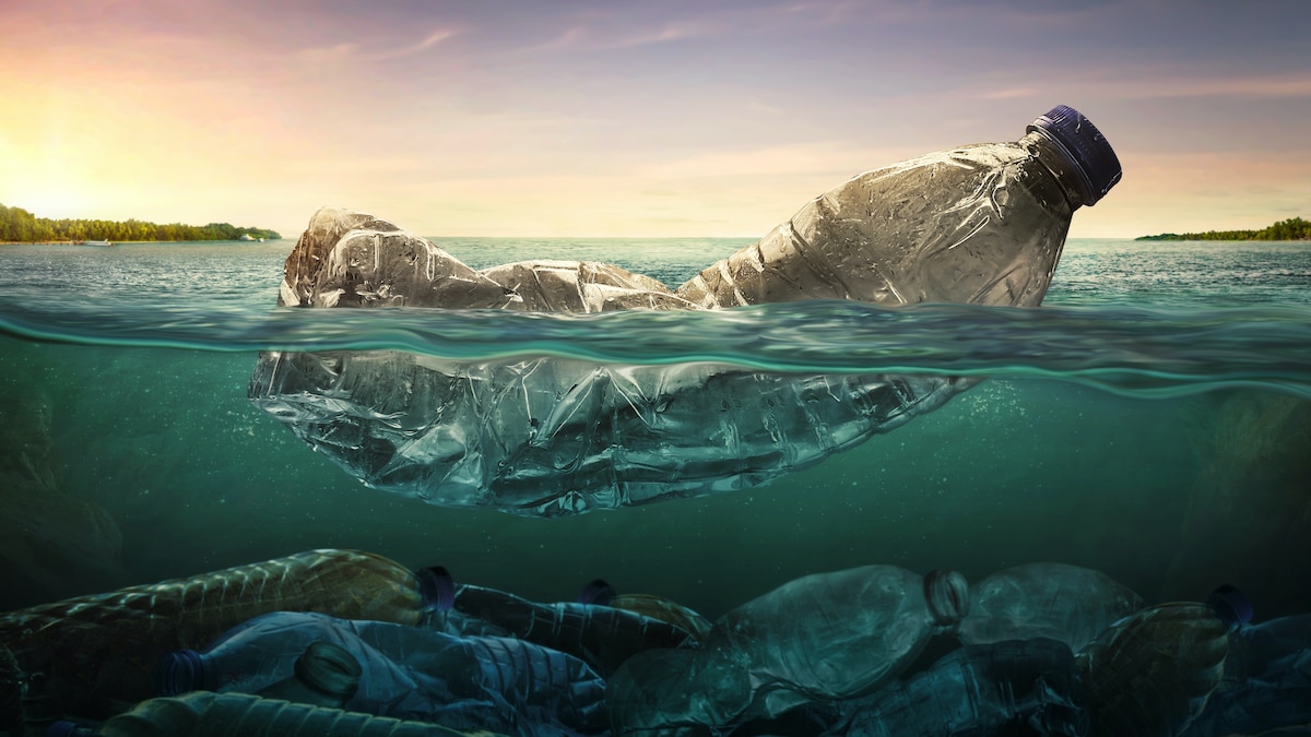 Closing the circle on waste | National Geographic