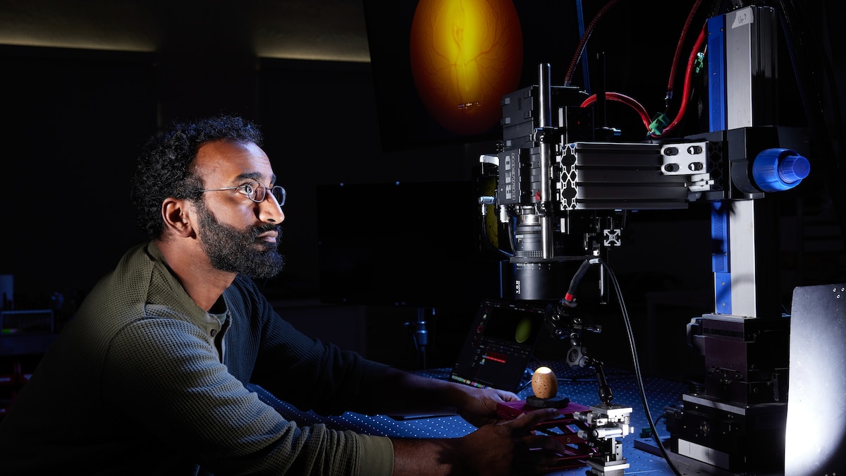 Anand Varma’s innovative photography reveals nature’s stunning and ...