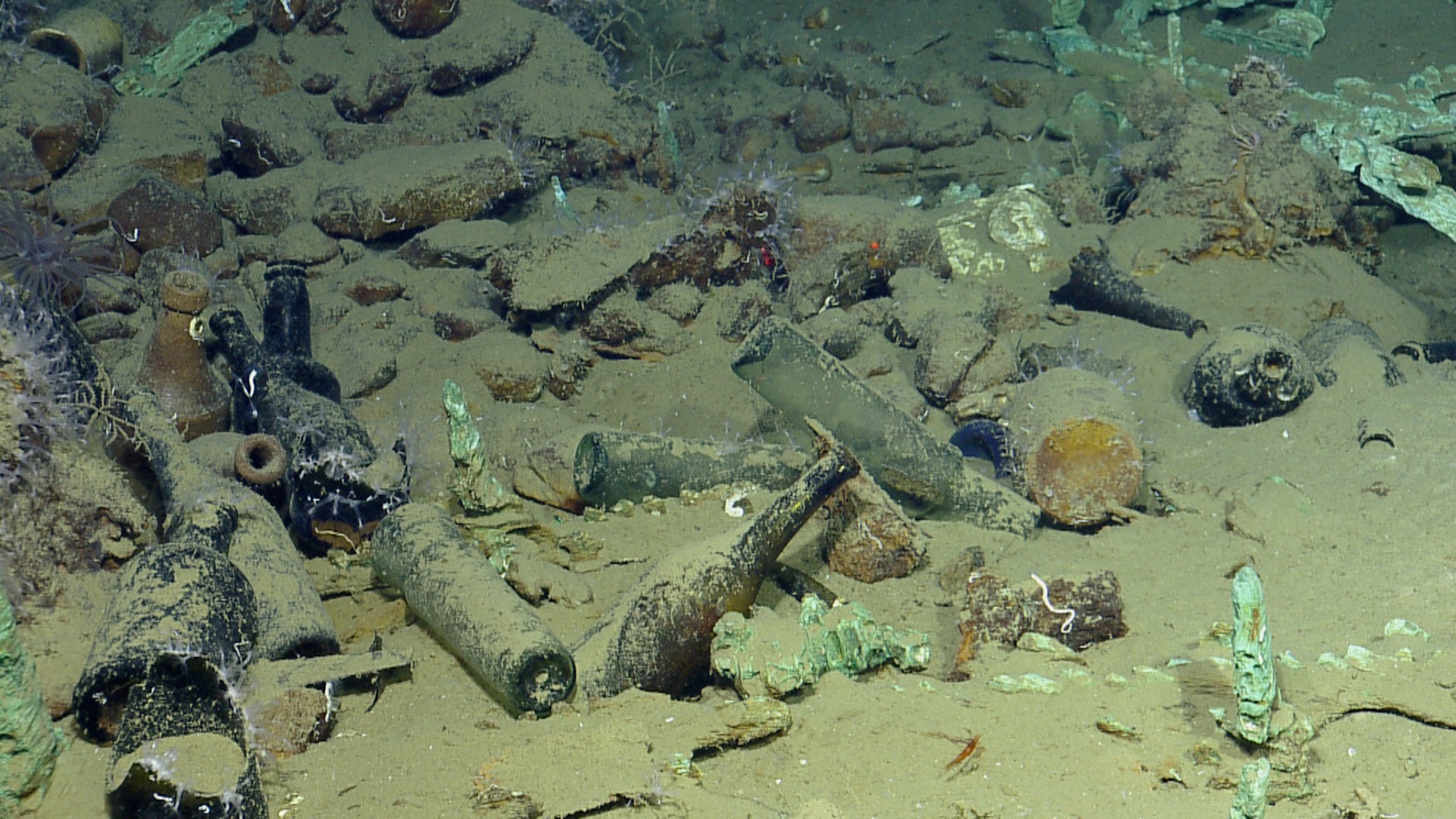 Pictures of Deepest Wreck Currently Under Excavation in U.S. Waters